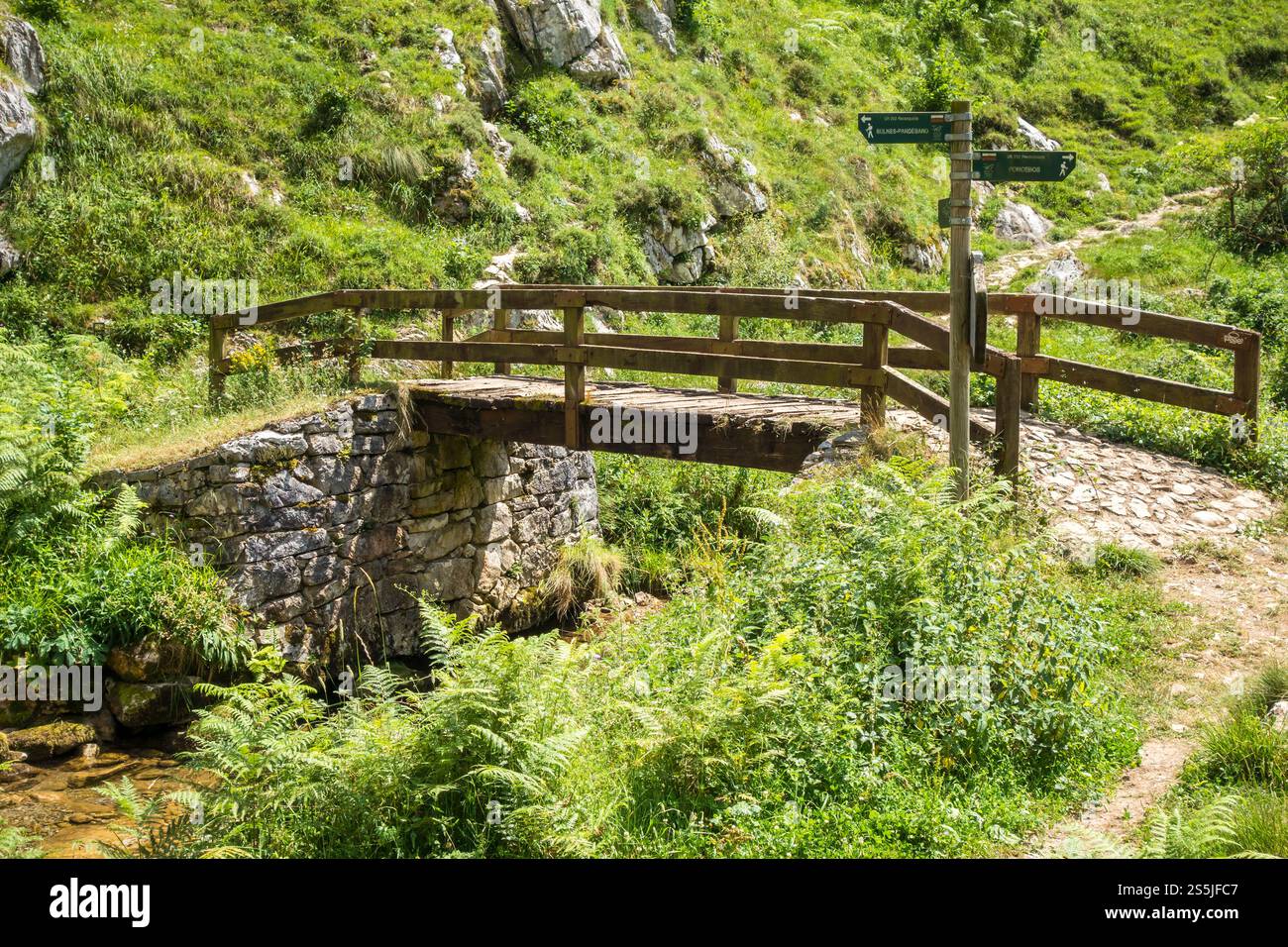 Old wood bridge near bulnes village in picos de europa hi-res stock ...