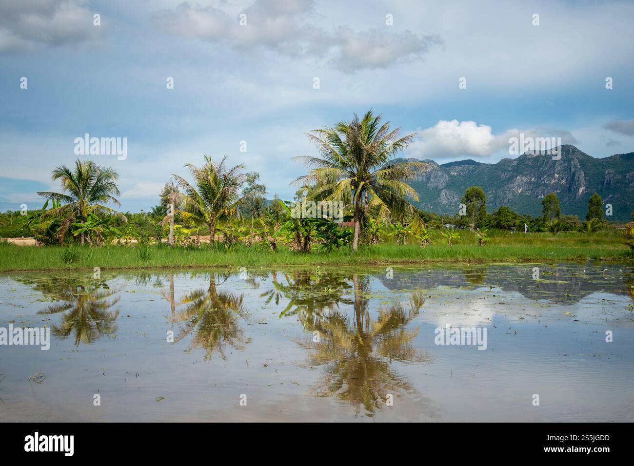 the Landscape and Fields near the Village of Kui Buri at the Hat Sam ...