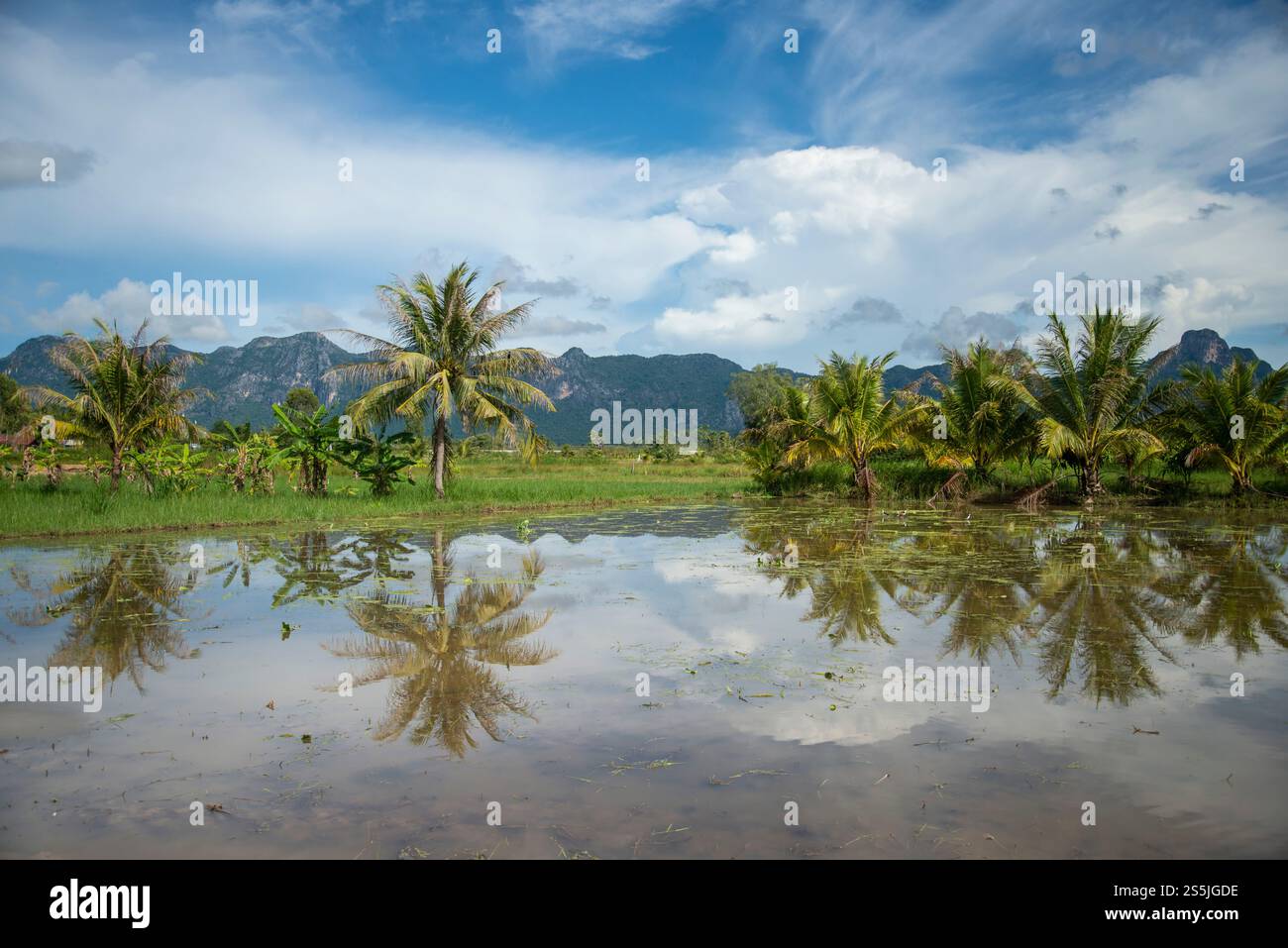 the Landscape and Fields near the Village of Kui Buri at the Hat Sam ...