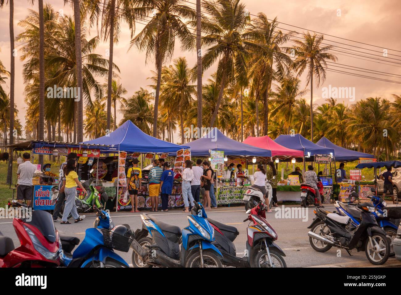 a Nightmarket at the Coast and Palmtree Plantation on the Hat Pak Nam ...
