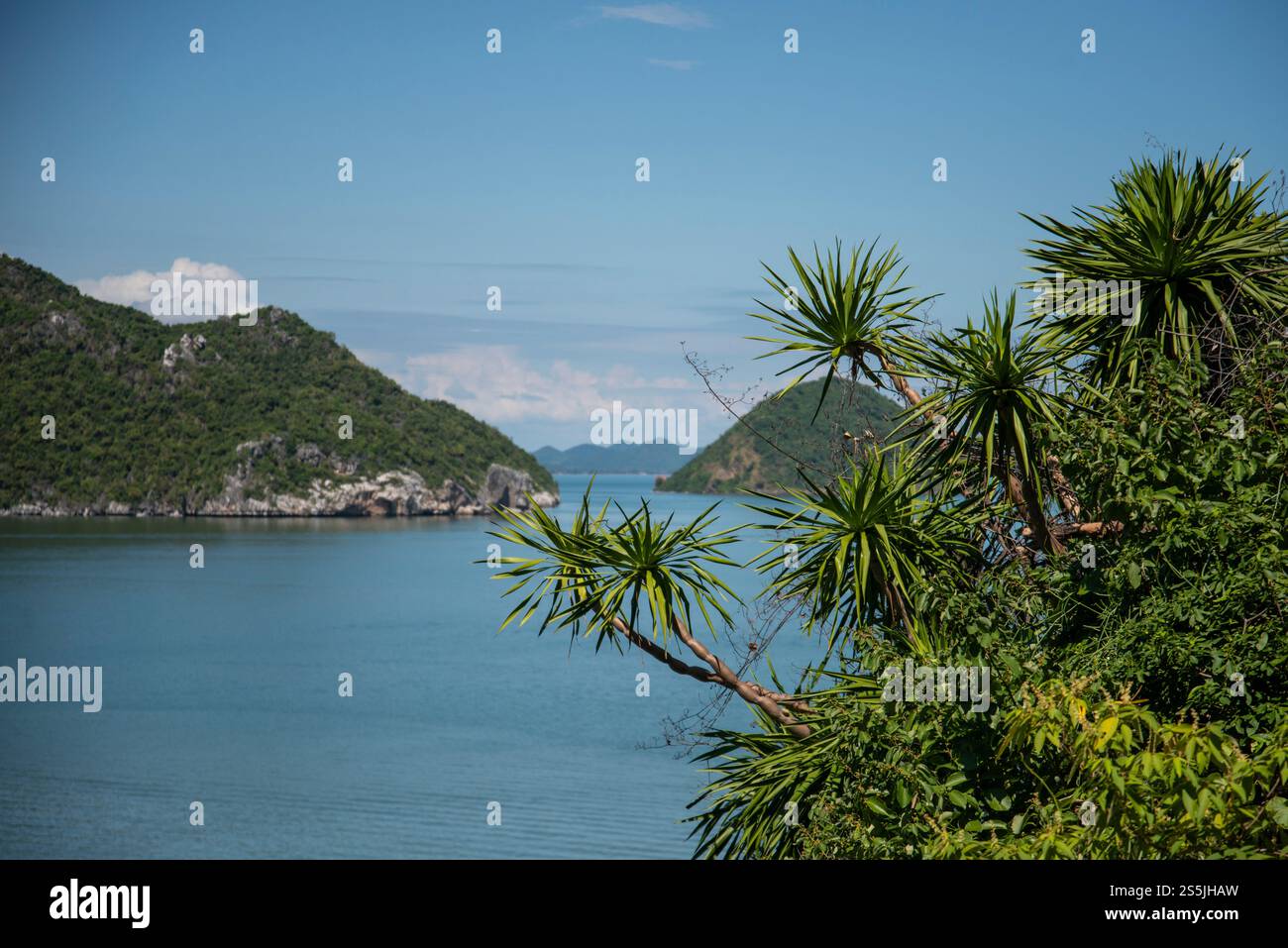 the view from the Hua Khao Tian View Point of the Landscape of Bang Pu ...