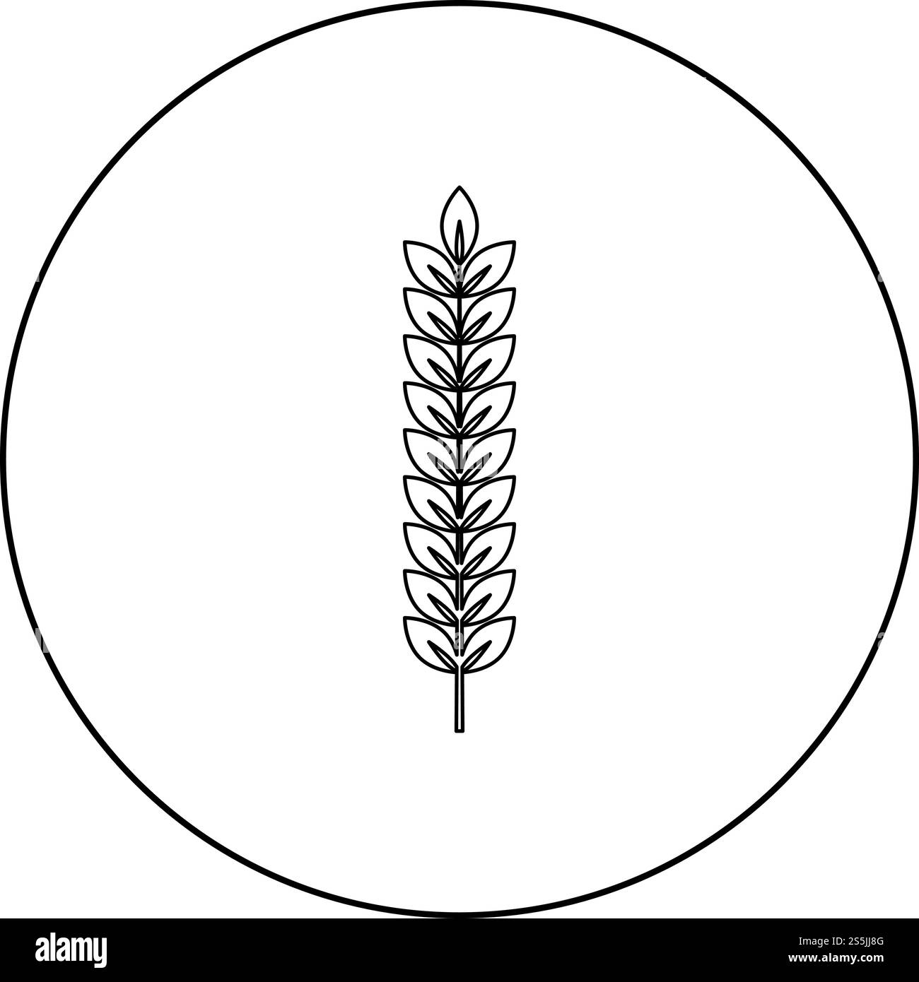 Spikelet of wheat Plant branch icon in circle round outline black color ...