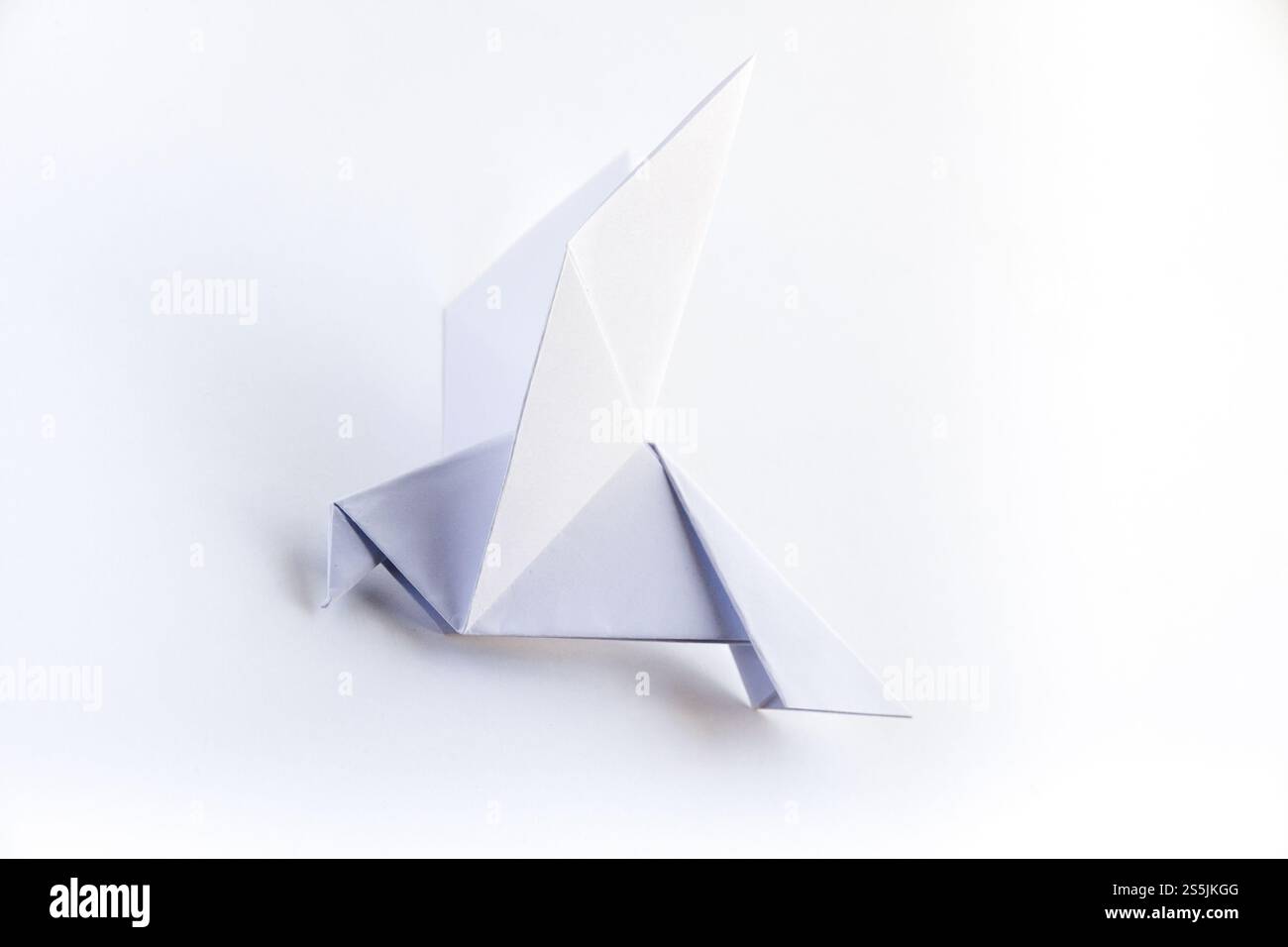 Paper dove origami isolated on a blank white background. Paper dove ...