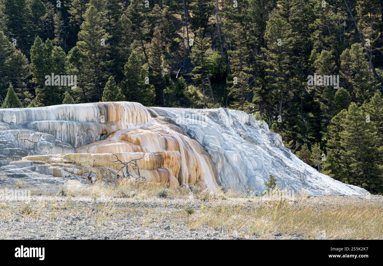 Cleopatra Terrace, geothermal feature in the Mammoth Hot Springs area ...