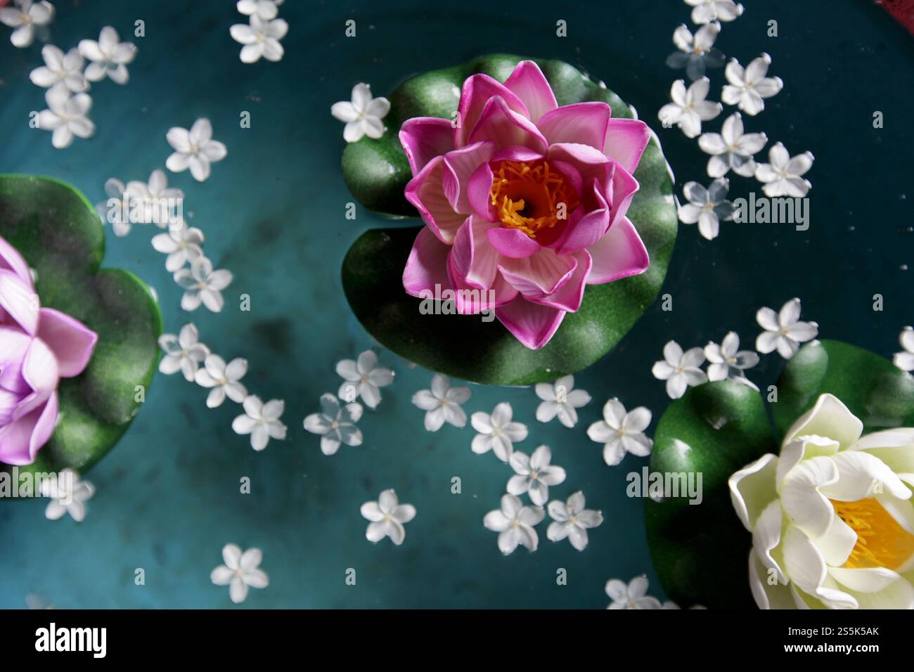 Flower Decoration at a Resort and Hotel at the Sairee Beach at the Town ...