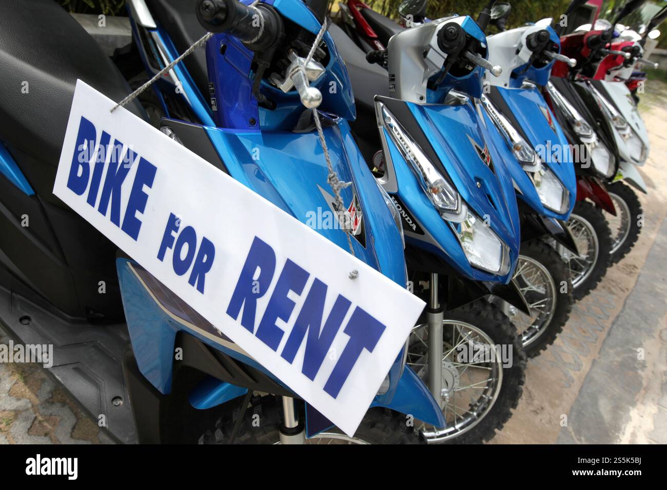 a Bike Rent shop at the Town of Sairee Village on the Ko Tao Island in the Province of Surat ...