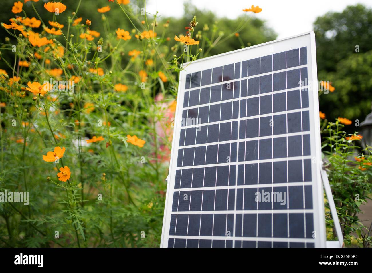 Solar Panel System near the house photovoltaic alternative electricity ...
