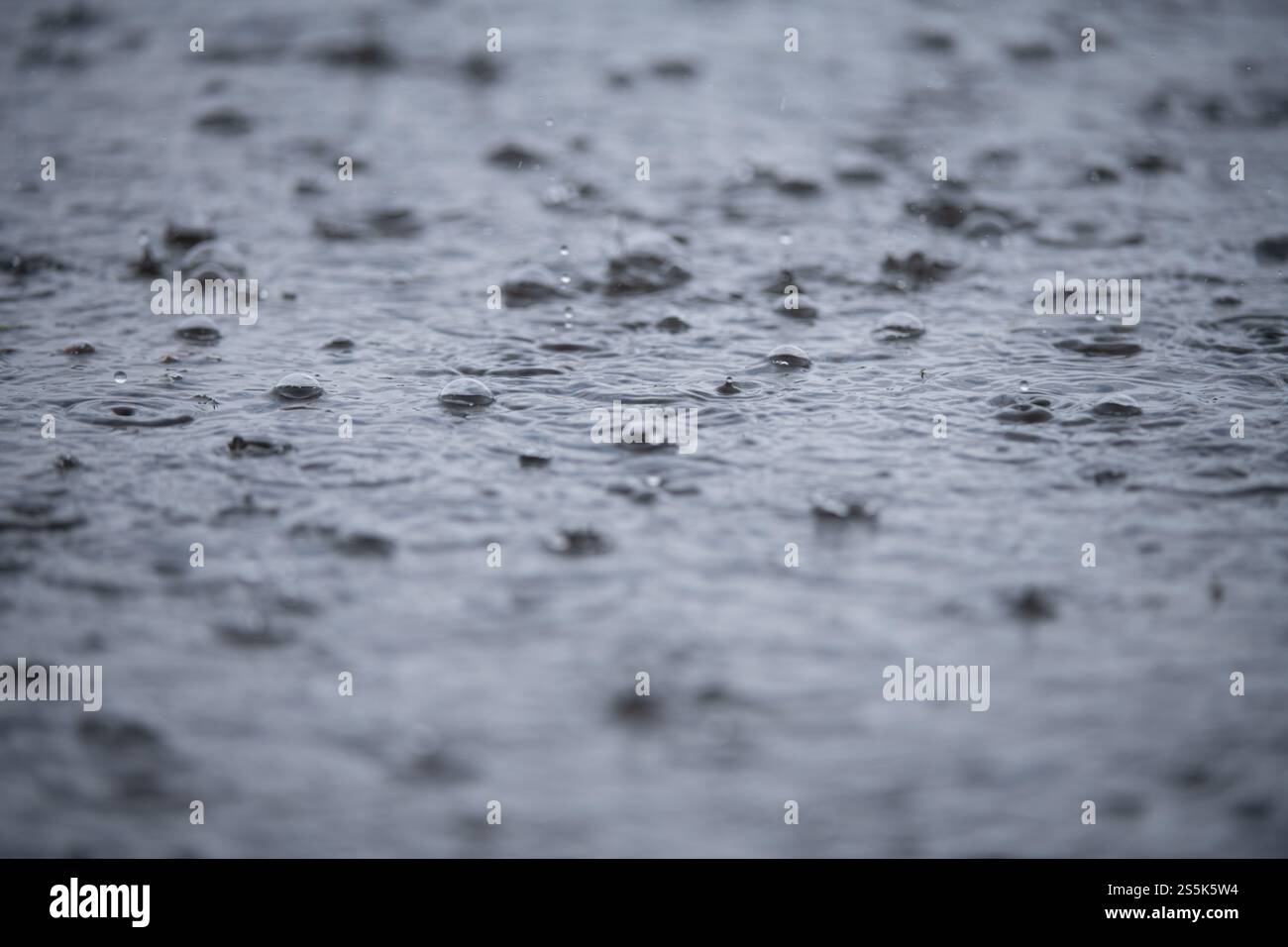 Raining. Rain drop. Raining time. Falling raindrops. Water background ...