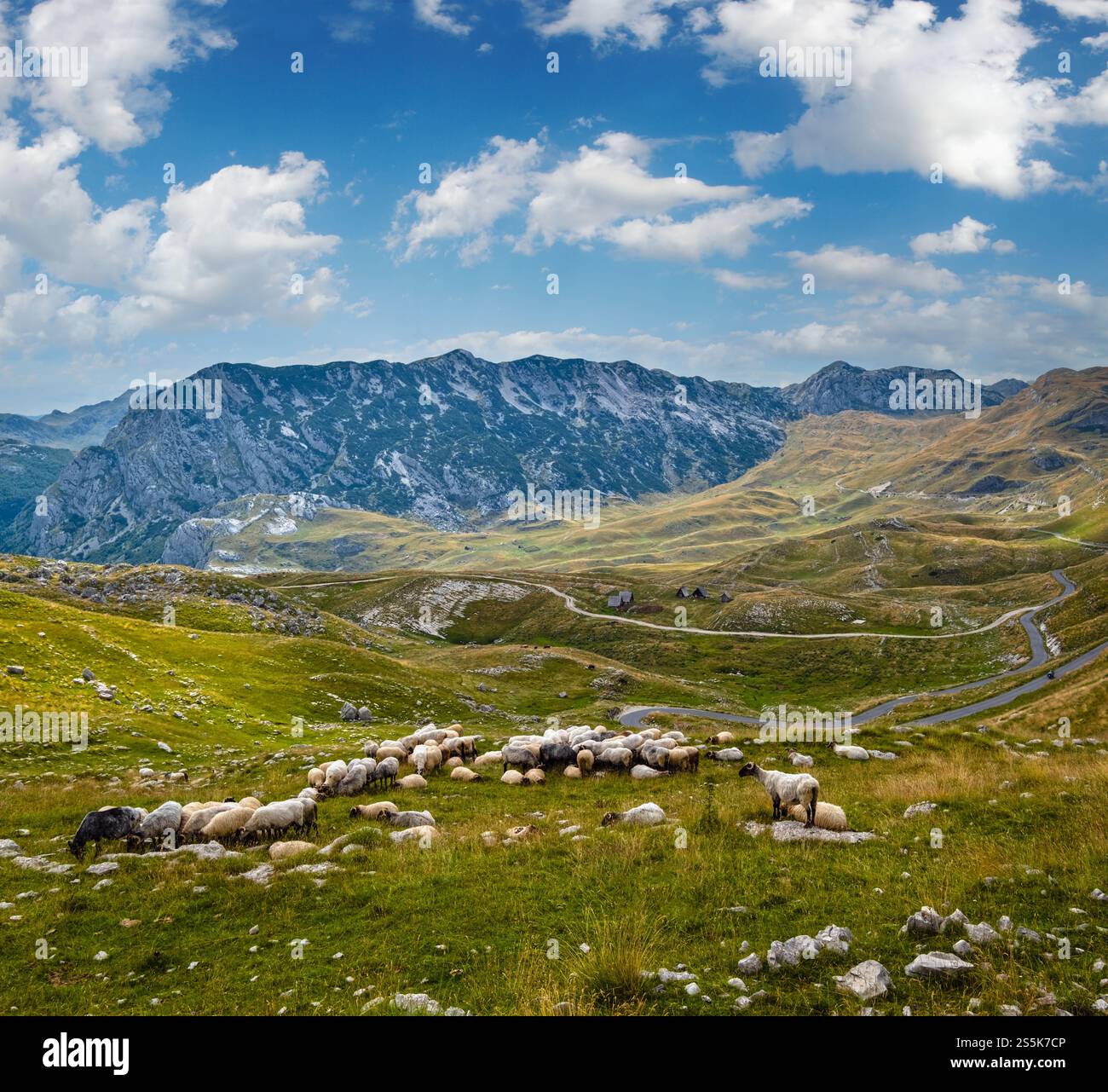 Picturesque summer mountain landscape of Durmitor National Park ...