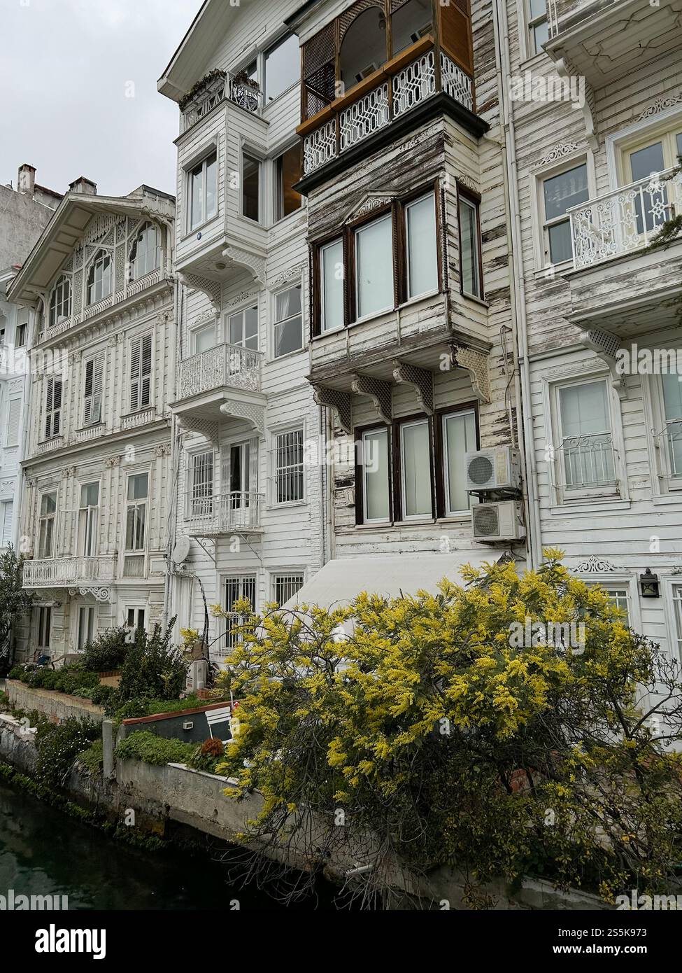 This photo showcases a tranquil spring day in Istanbul, highlighting a ...