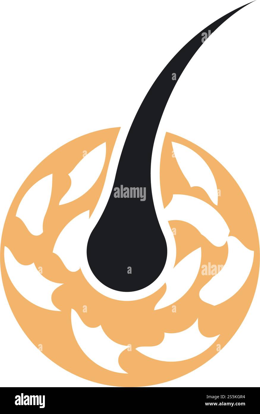 hair folicle logo template vector Stock Vector Image & Art - Alamy