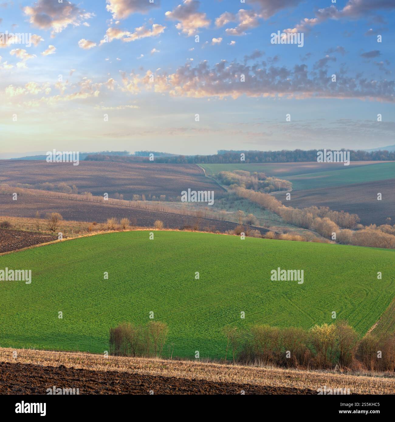 Spring morning rural country landscape with plowed agricultural fields ...