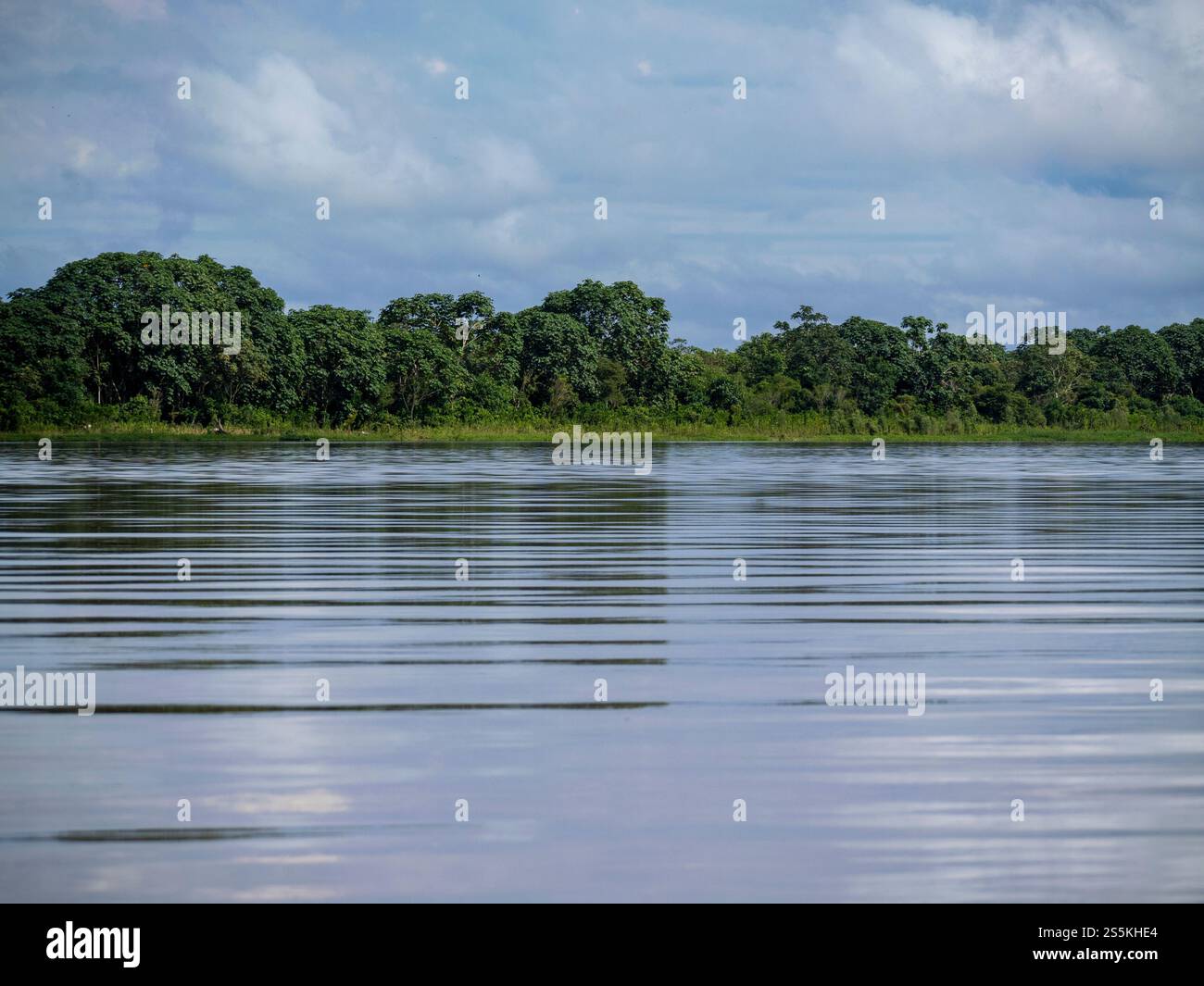 Amazon river landscape with rainforest. Taken near the small town of ...