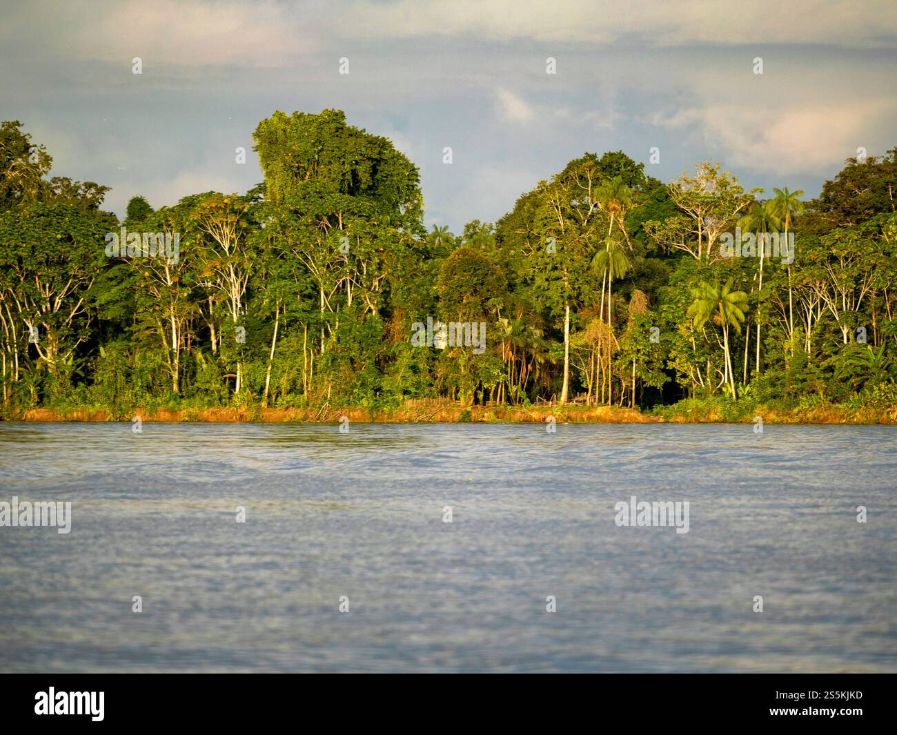 Amazon river landscape with rainforest. Taken near the small town of ...