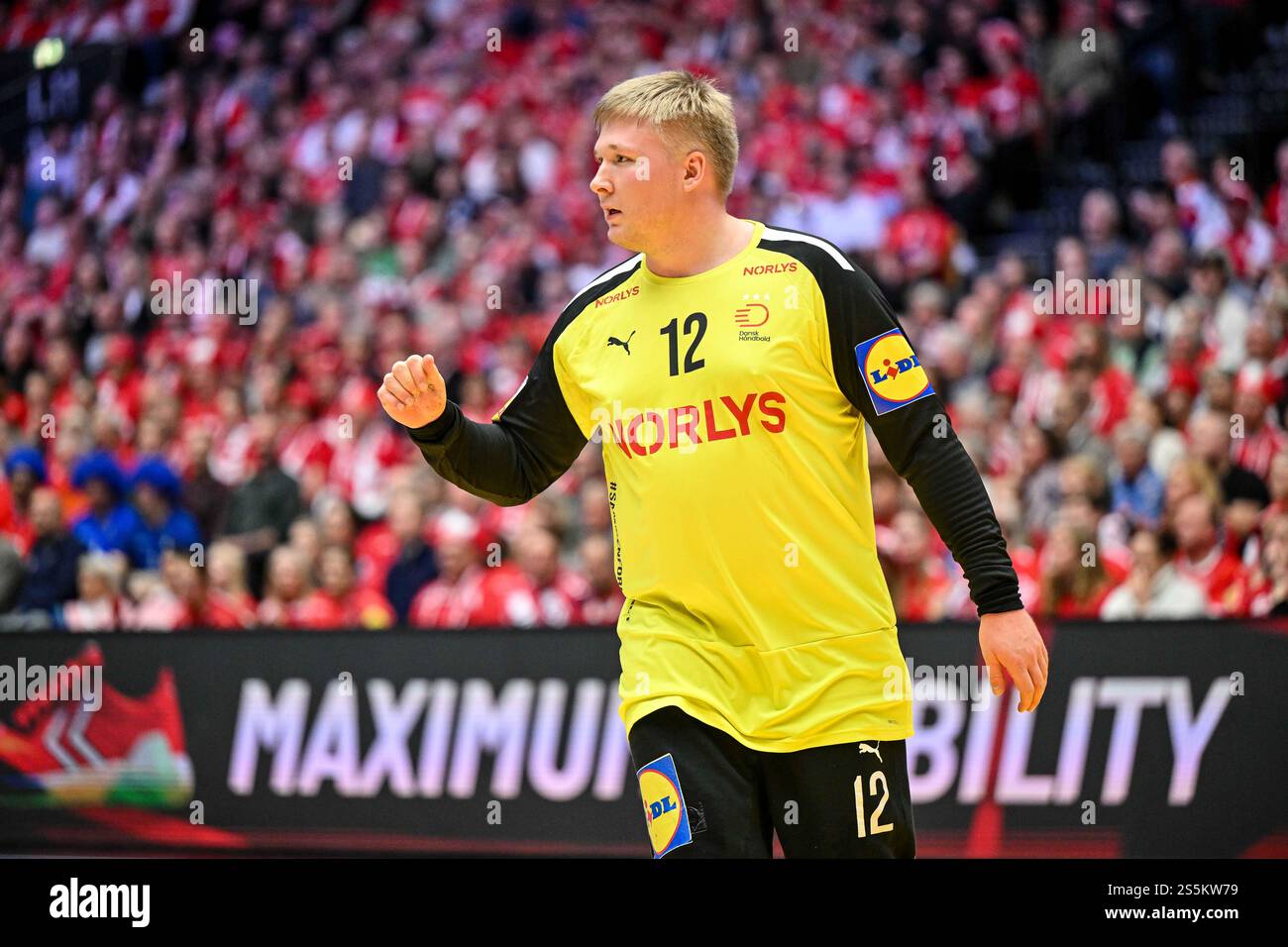 Herning, Denmark. 14th Jan, 2025. Emil Nielsen of Danmark during IHF ...