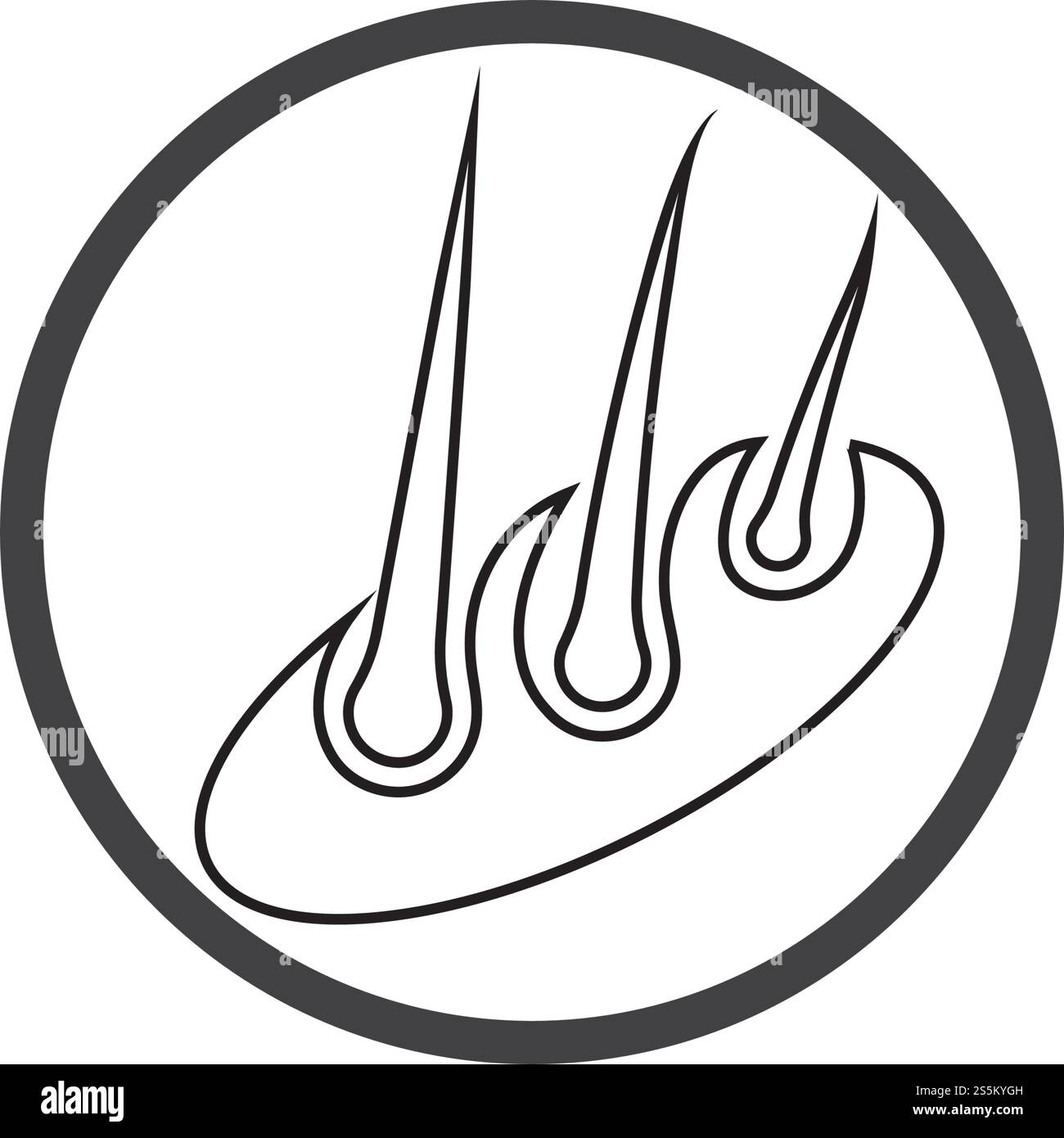 hair folicle logo template vector Stock Vector Image & Art - Alamy