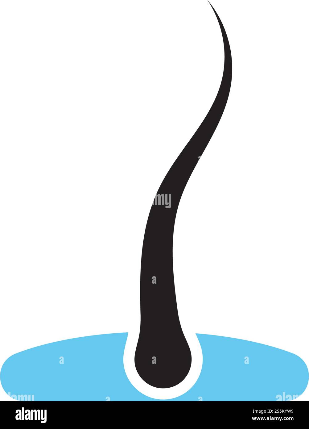 hair folicle logo template vector Stock Vector Image & Art - Alamy