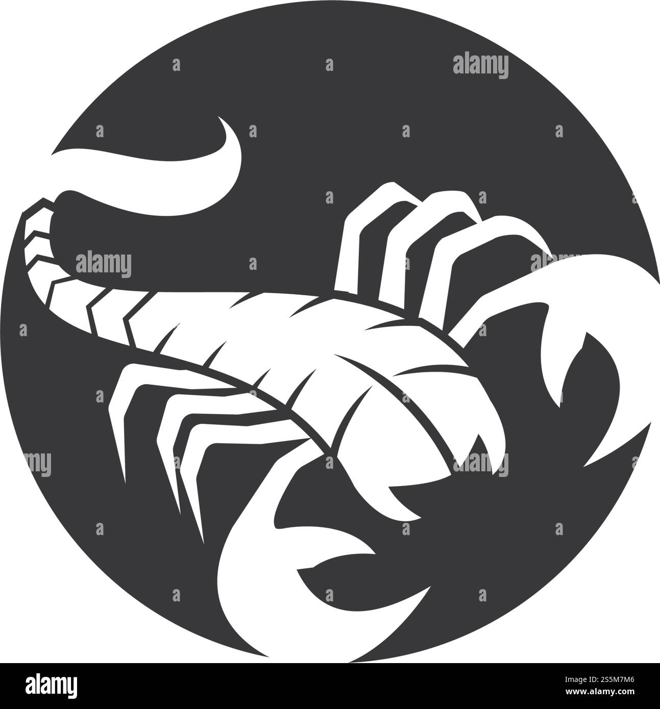 Scorpion Logo Template Vector illustration Stock Vector Image & Art - Alamy