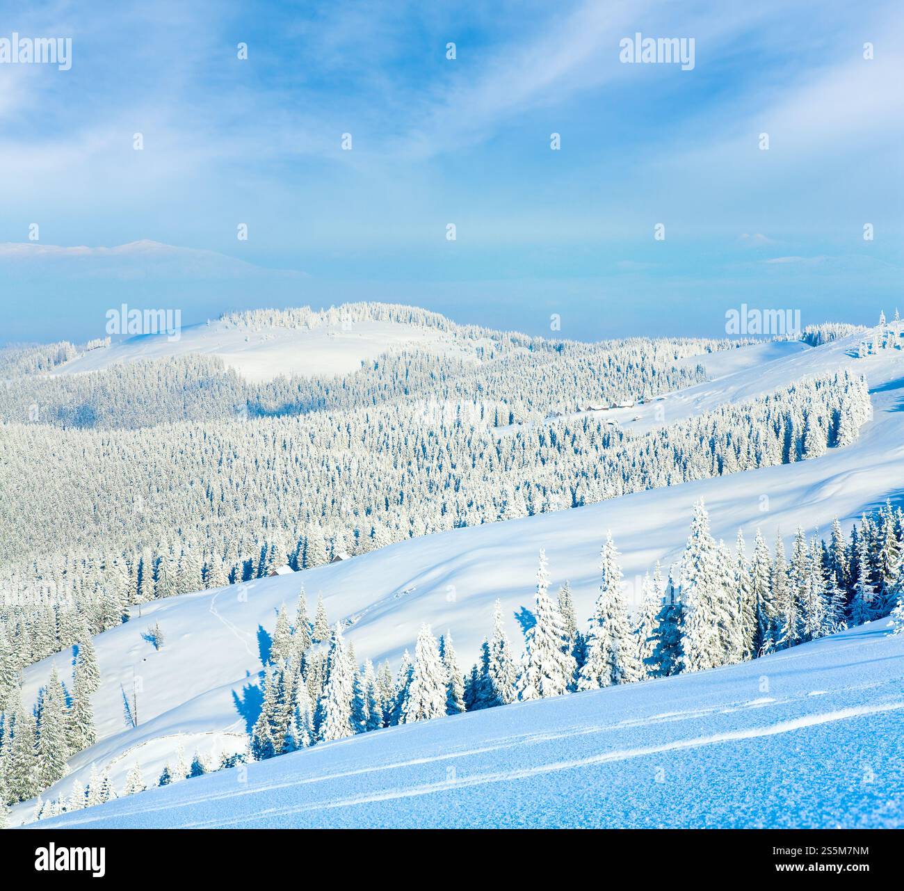 Winter mountain view with snow surface on mountainside in front and fir ...