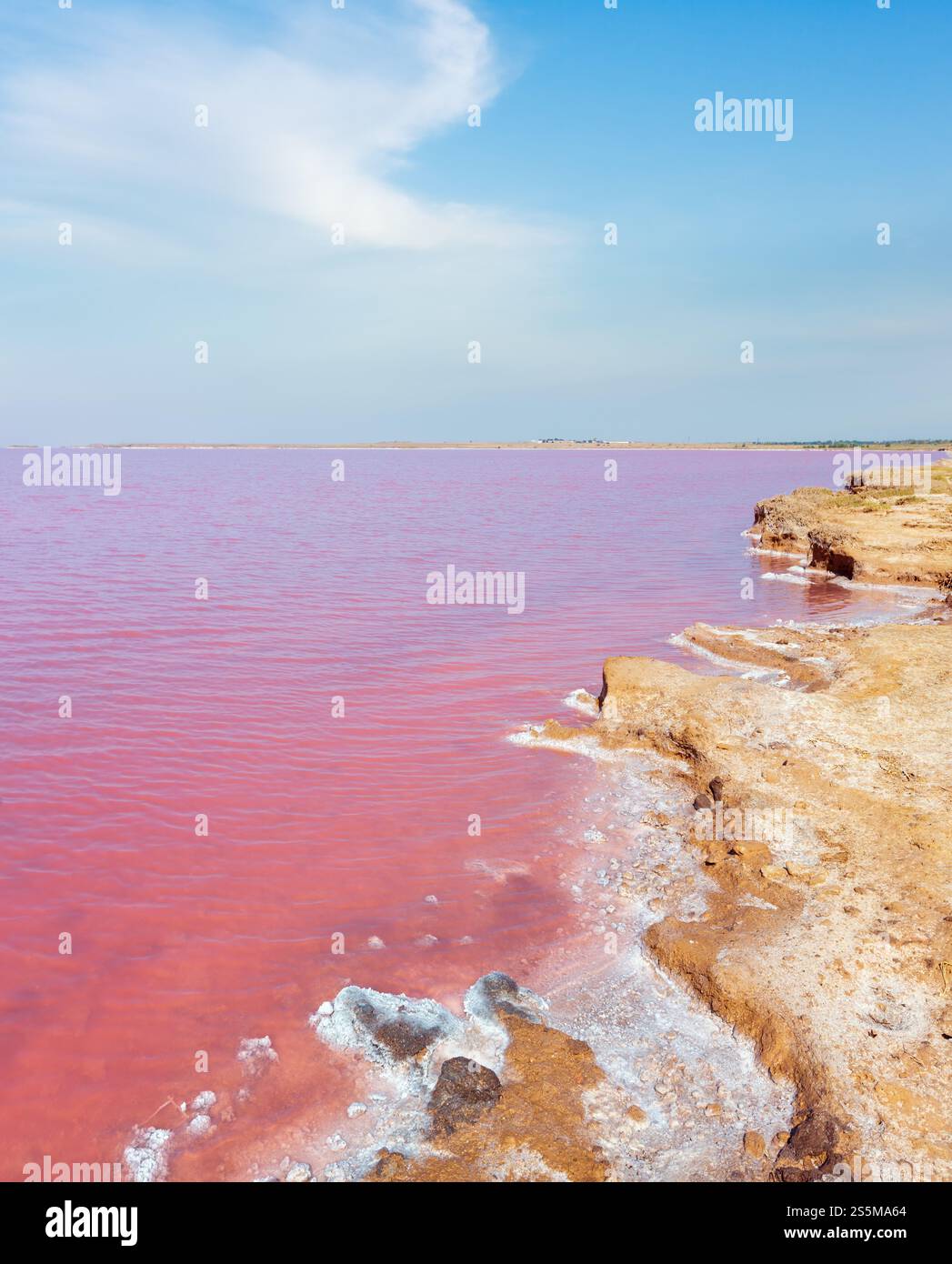 Pink extremely salty Syvash Lake, colored by microalgae with ...