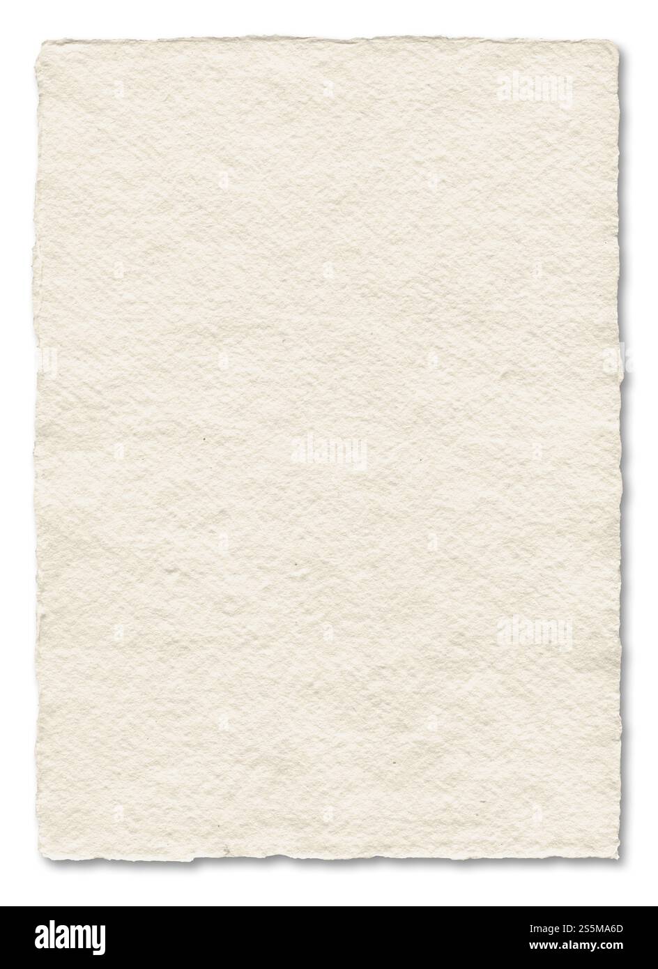 Natural art paper texture. Parchment background wallpaper. Isolated on ...