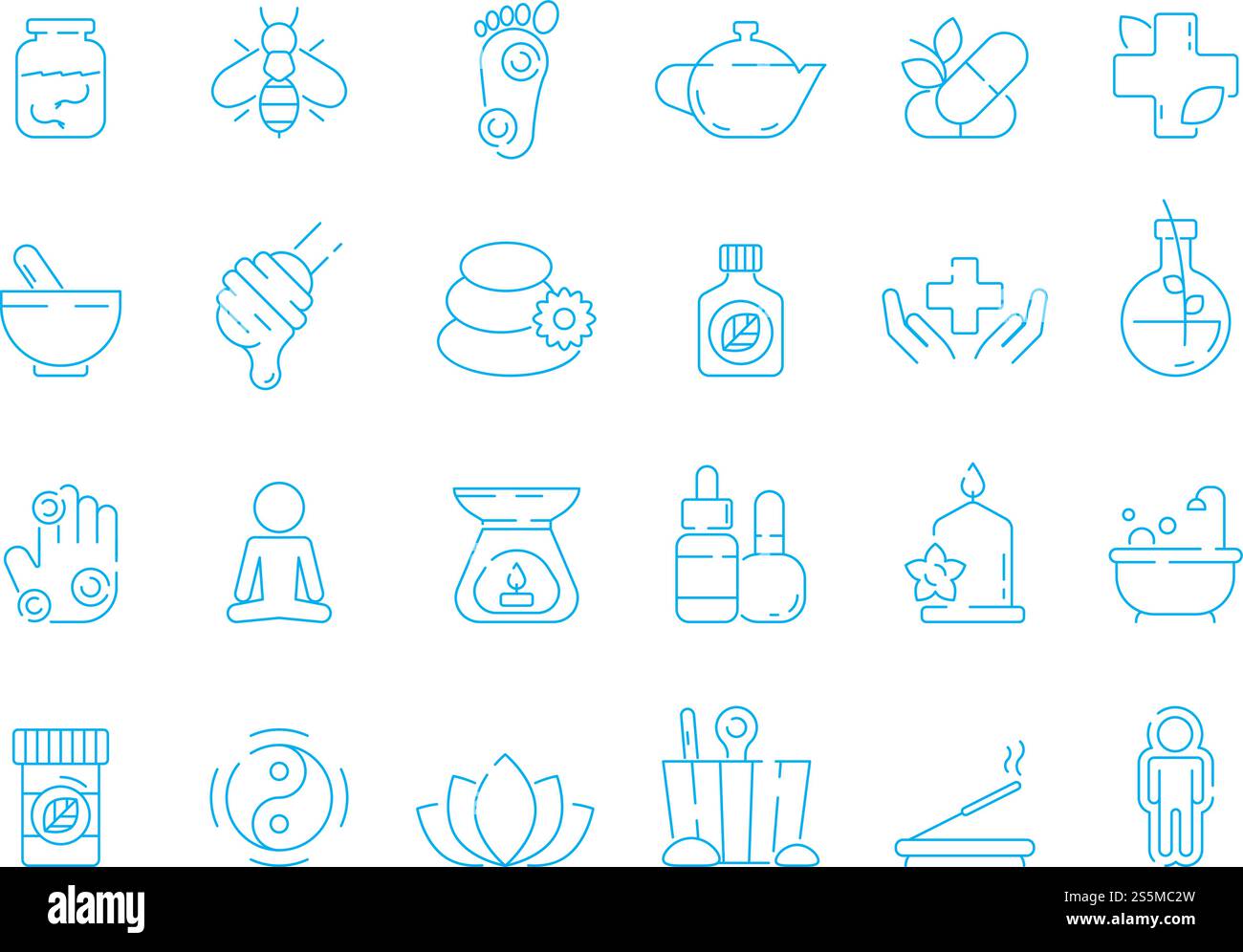 Alternative medicine symbols. Holistic vitamin herbal care traditional ...