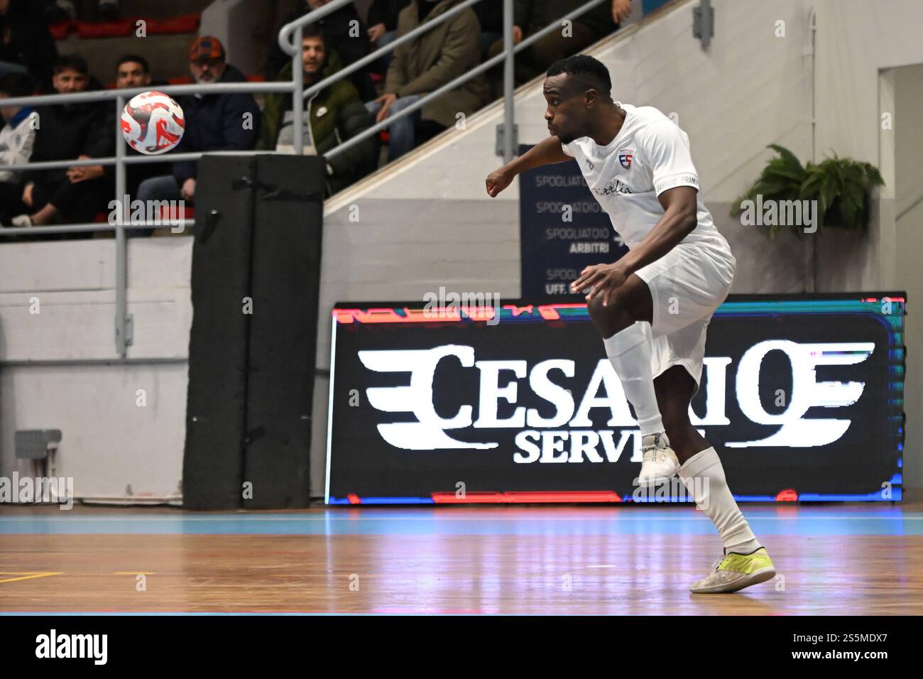 Cosenza, Italy. 14th Jan, 2025. 14 January 2025, Cosenza: The Italian ...