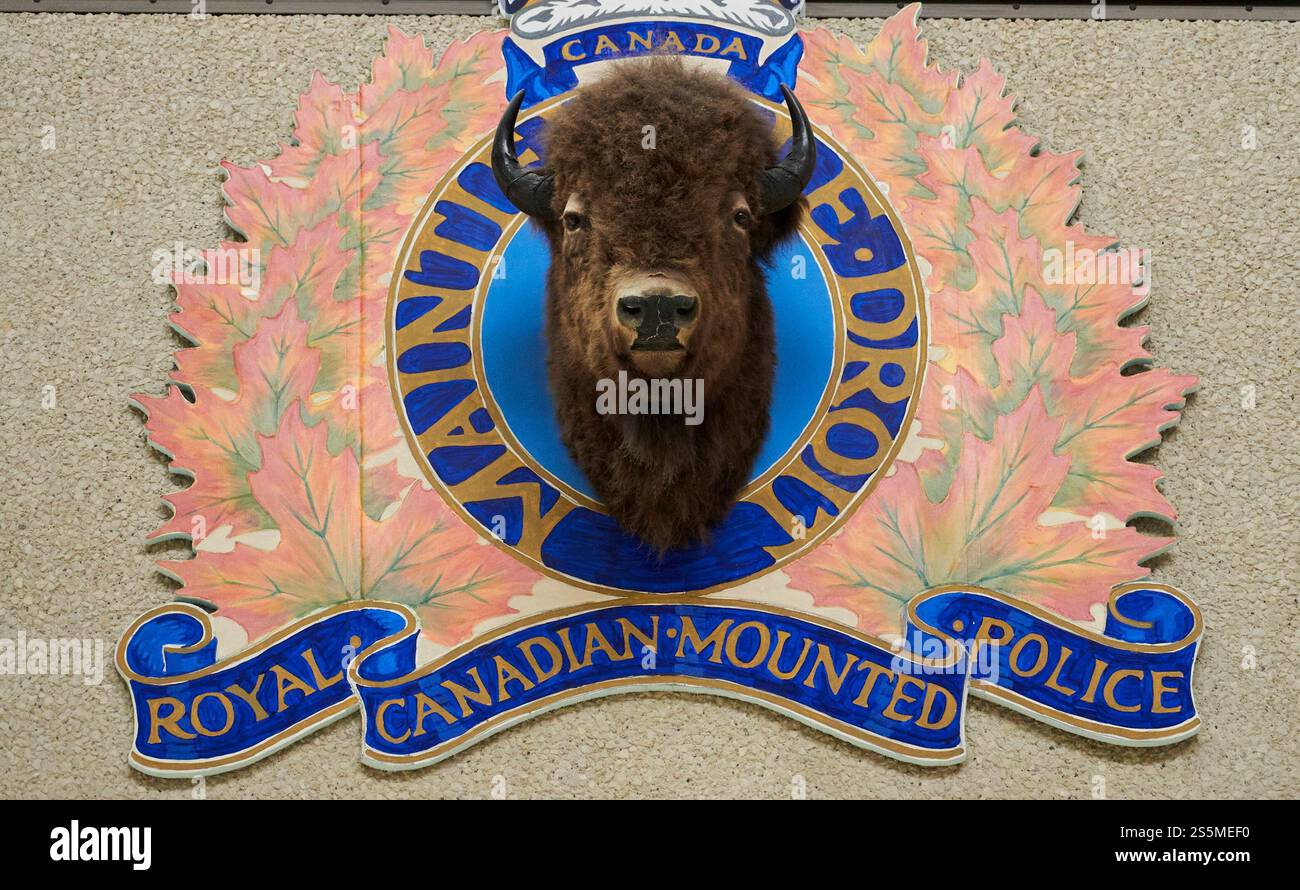 Winnipeg, Canada. 29th Jan, 2024. A bison headed logo is seen at ...