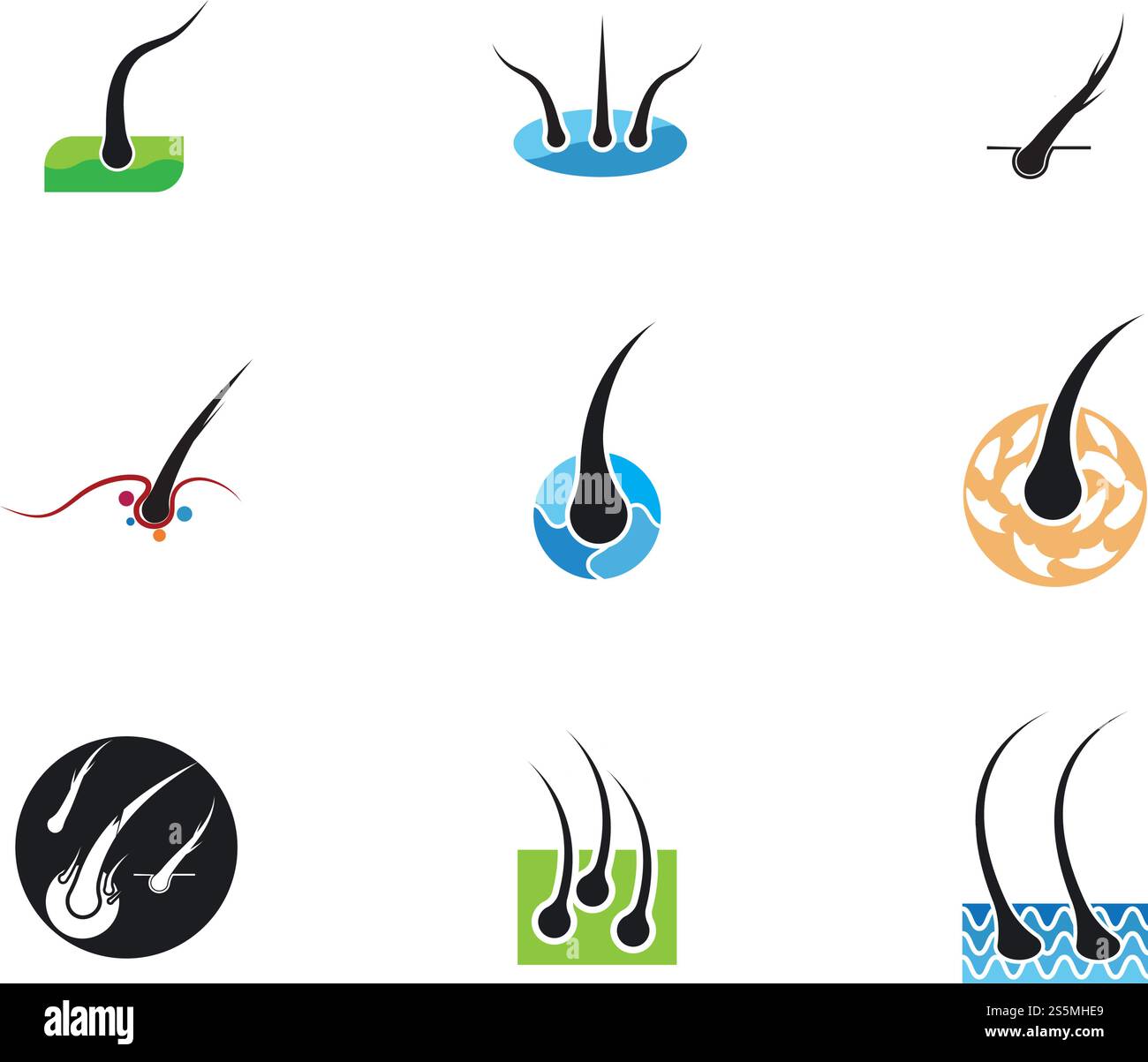hair folicle logo template vector Stock Vector Image & Art - Alamy