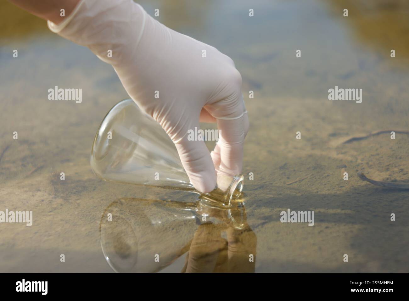 Examination of water quality. Researcher taking water sample from lake ...