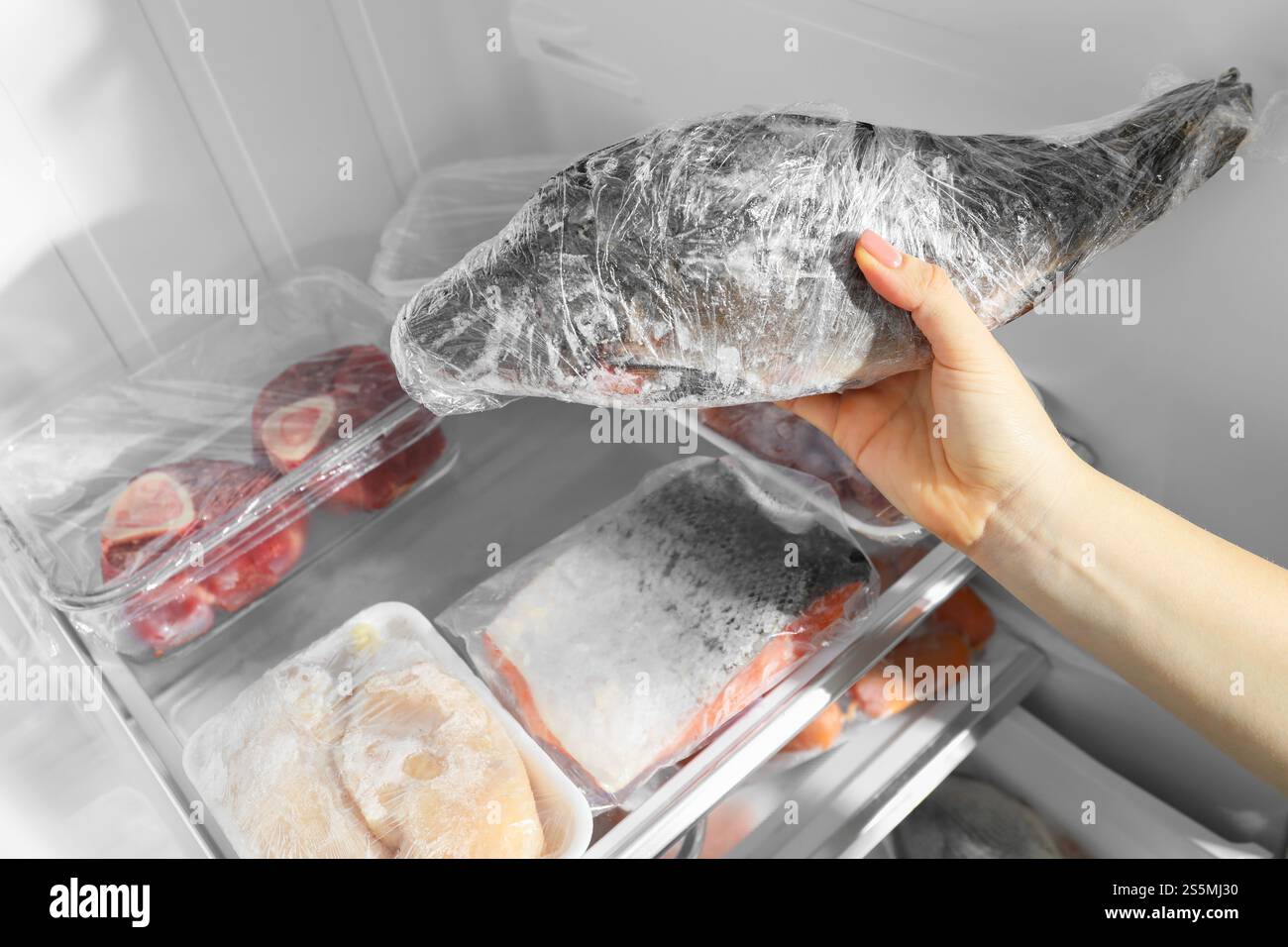 Woman taking frozen fish out of fridge, closeup Stock Photo - Alamy