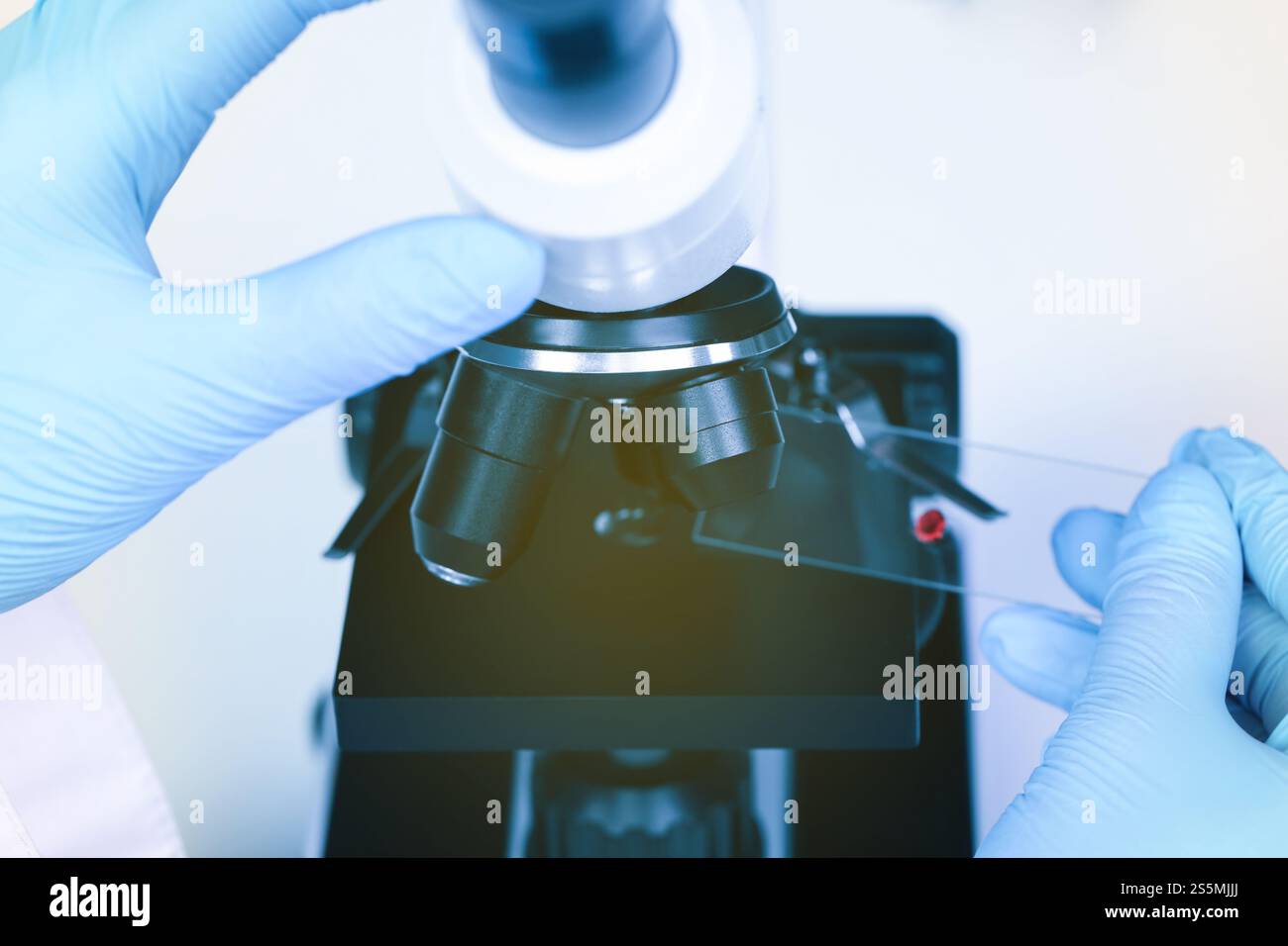 Scientist examining sample on slide under microscope, closeup Stock Photo - Alamy