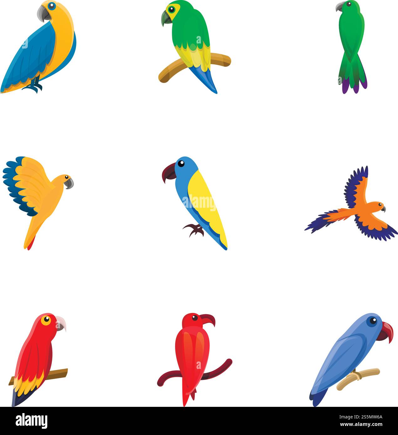 Jungle parrot icon set. Cartoon set of 9 jungle parrot vector icons for ...