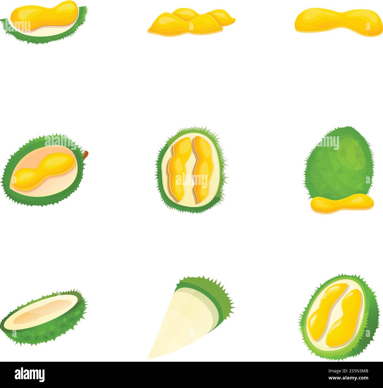 Tropical durian icon set. Cartoon set of 9 tropical durian vector icons ...