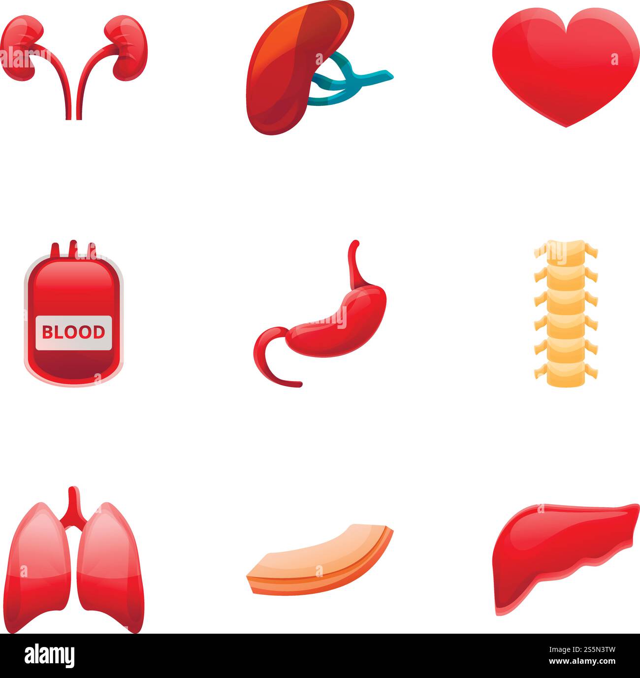 Hospital human organs transplant icon set. Cartoon set of 9 hospital ...