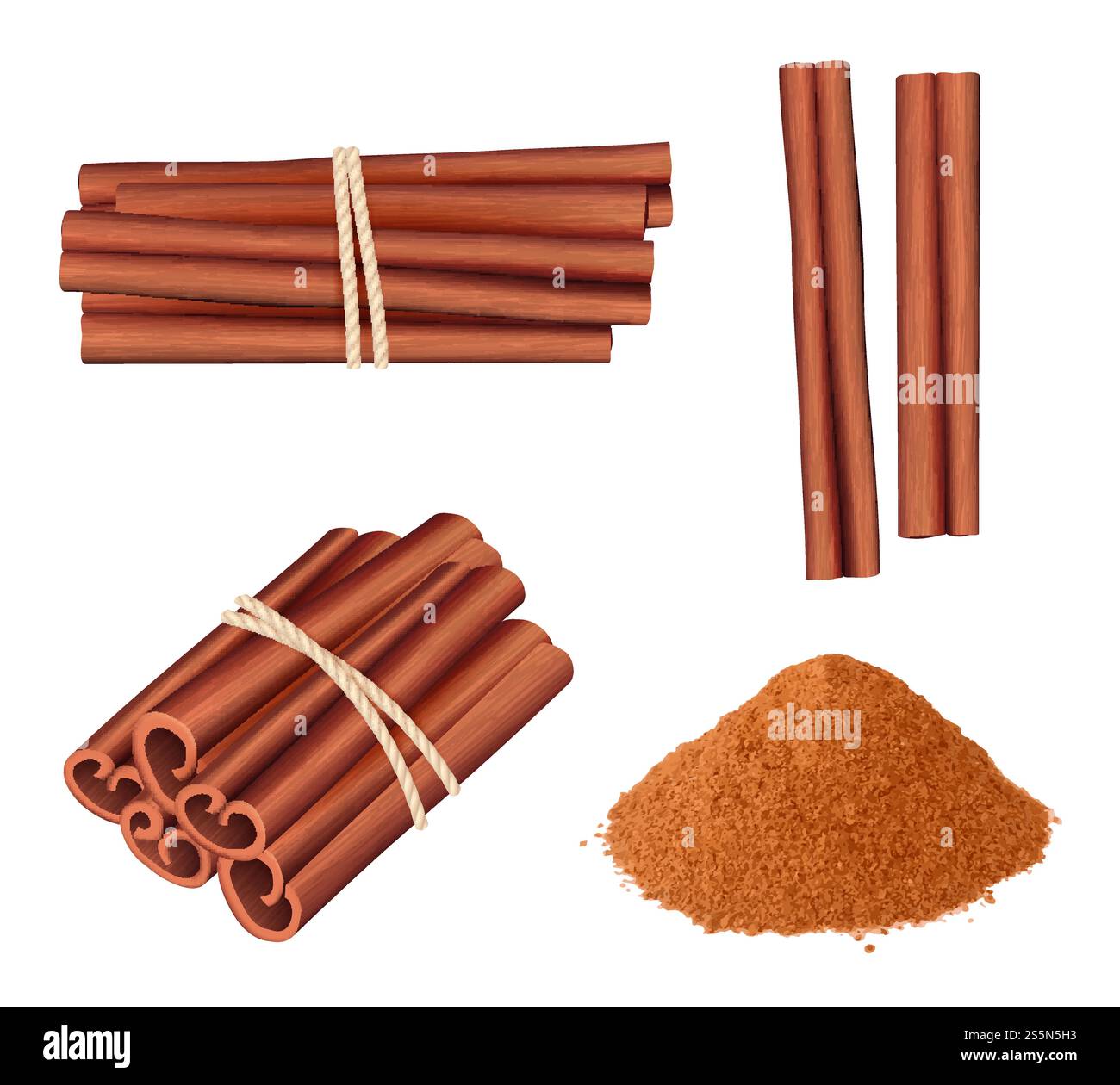 Cinnamon realistic. Aromatic herbs dessert plant food stick cinnamon ...