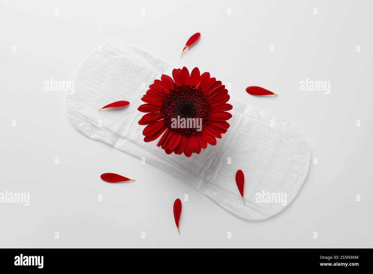 Menstrual pad with red flower on white background Stock Photo - Alamy
