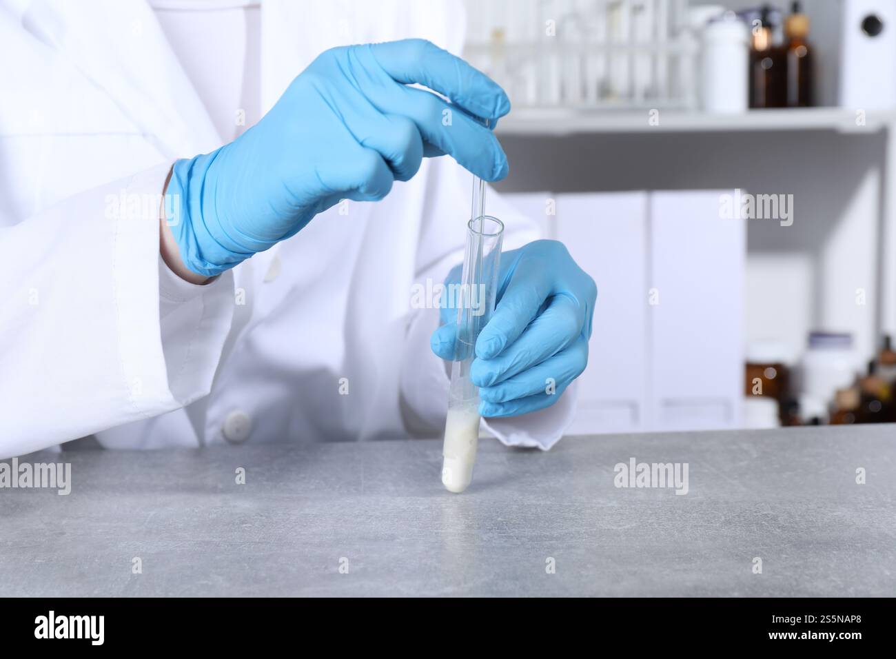 Laboratory testing. Scientist taking sample from test tube at grey ...