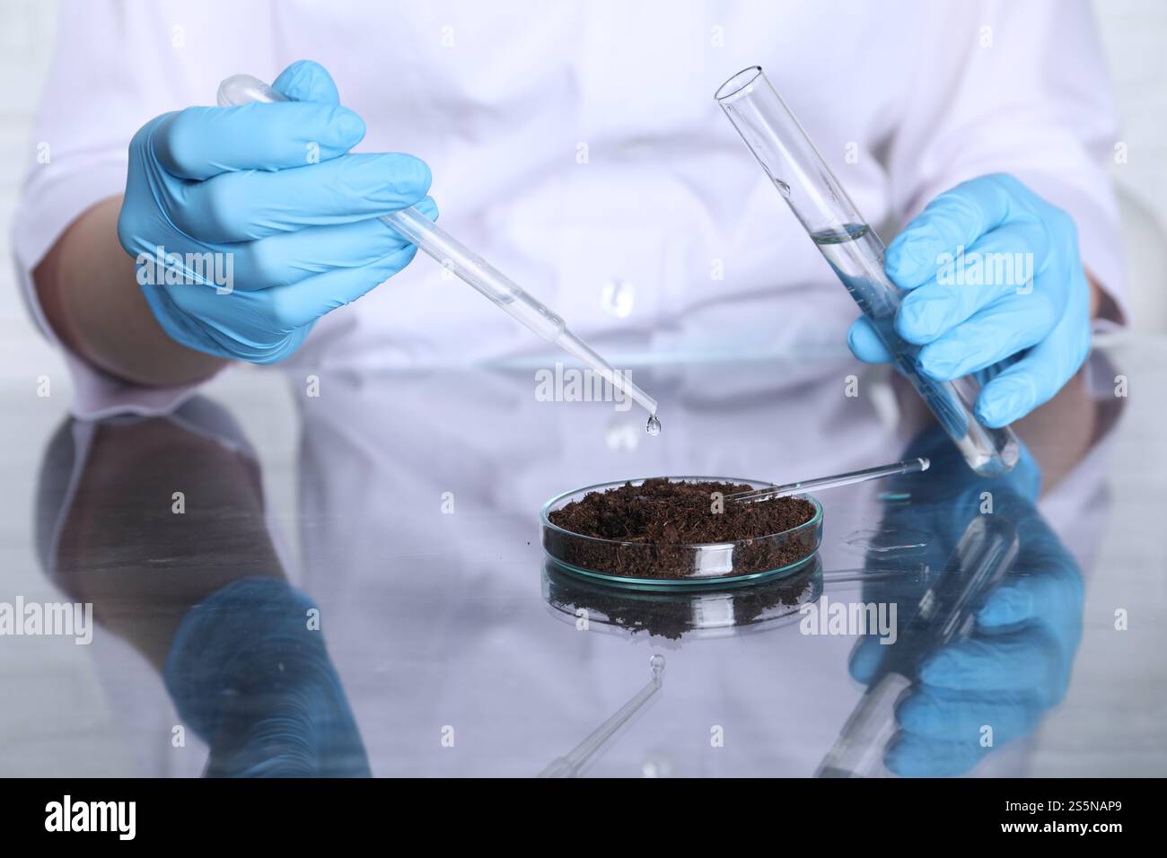 Laboratory testing. Scientist with test tube dripping liquid onto soil ...
