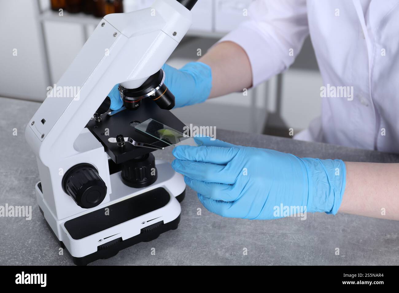 Laboratory testing. Scientist examining sample on slide under ...