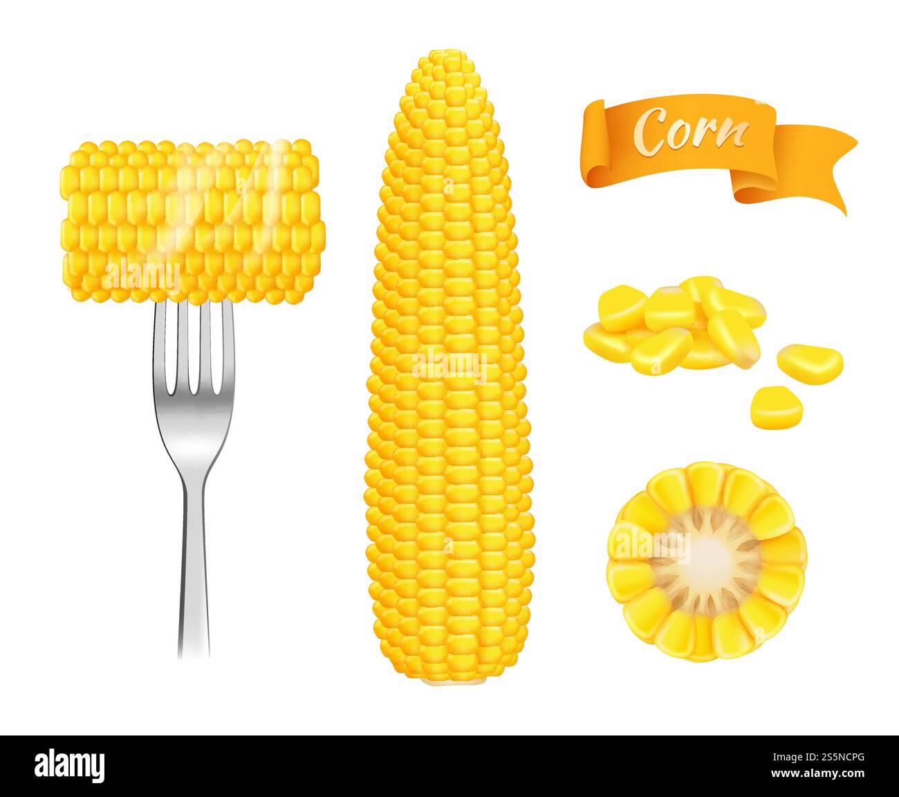 Corn realistic. Harvest fresh cut grains eating corn vector template ...