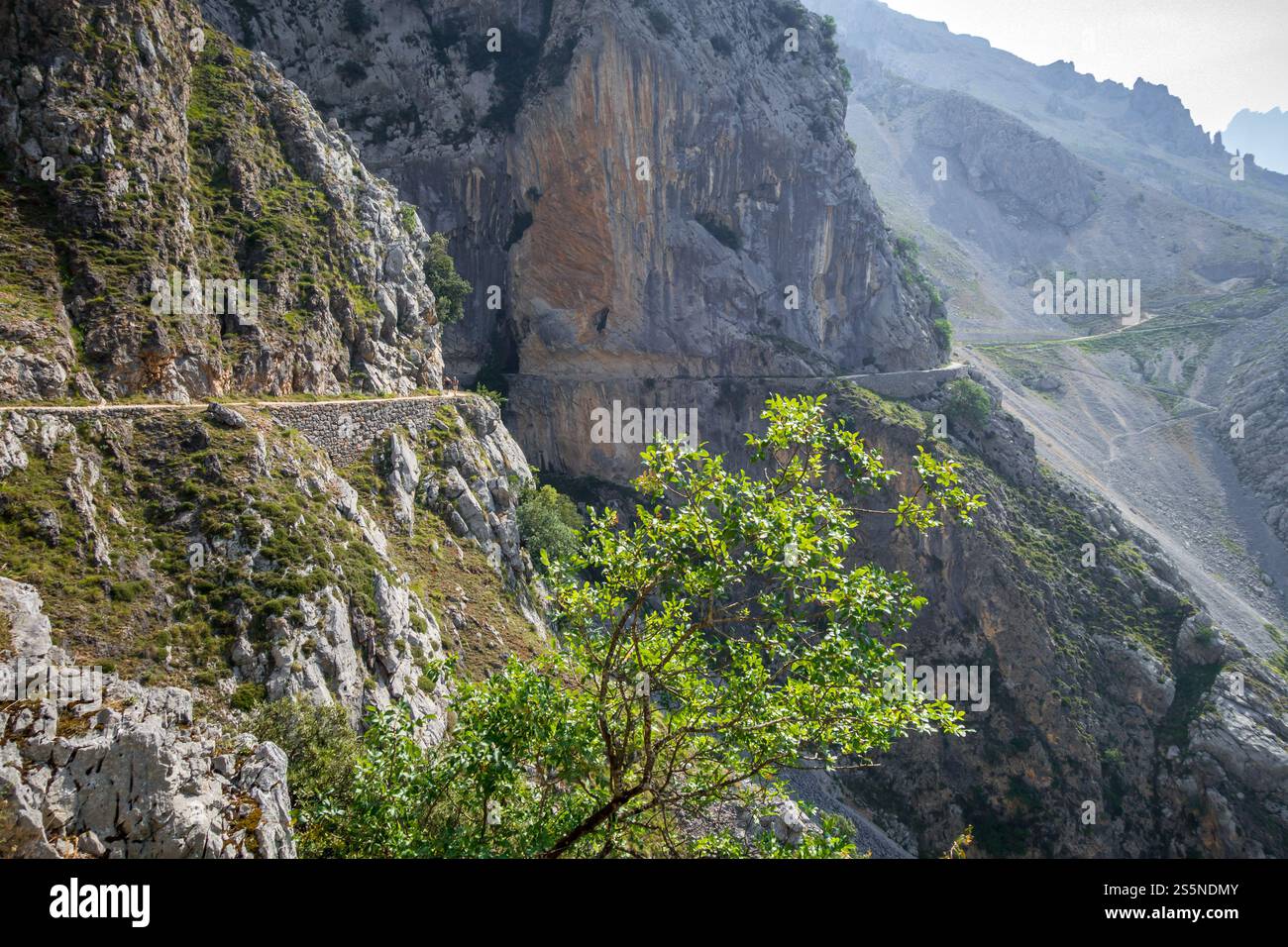 Cares trail - ruta del Cares - in Picos de Europa canyon, Asturias ...