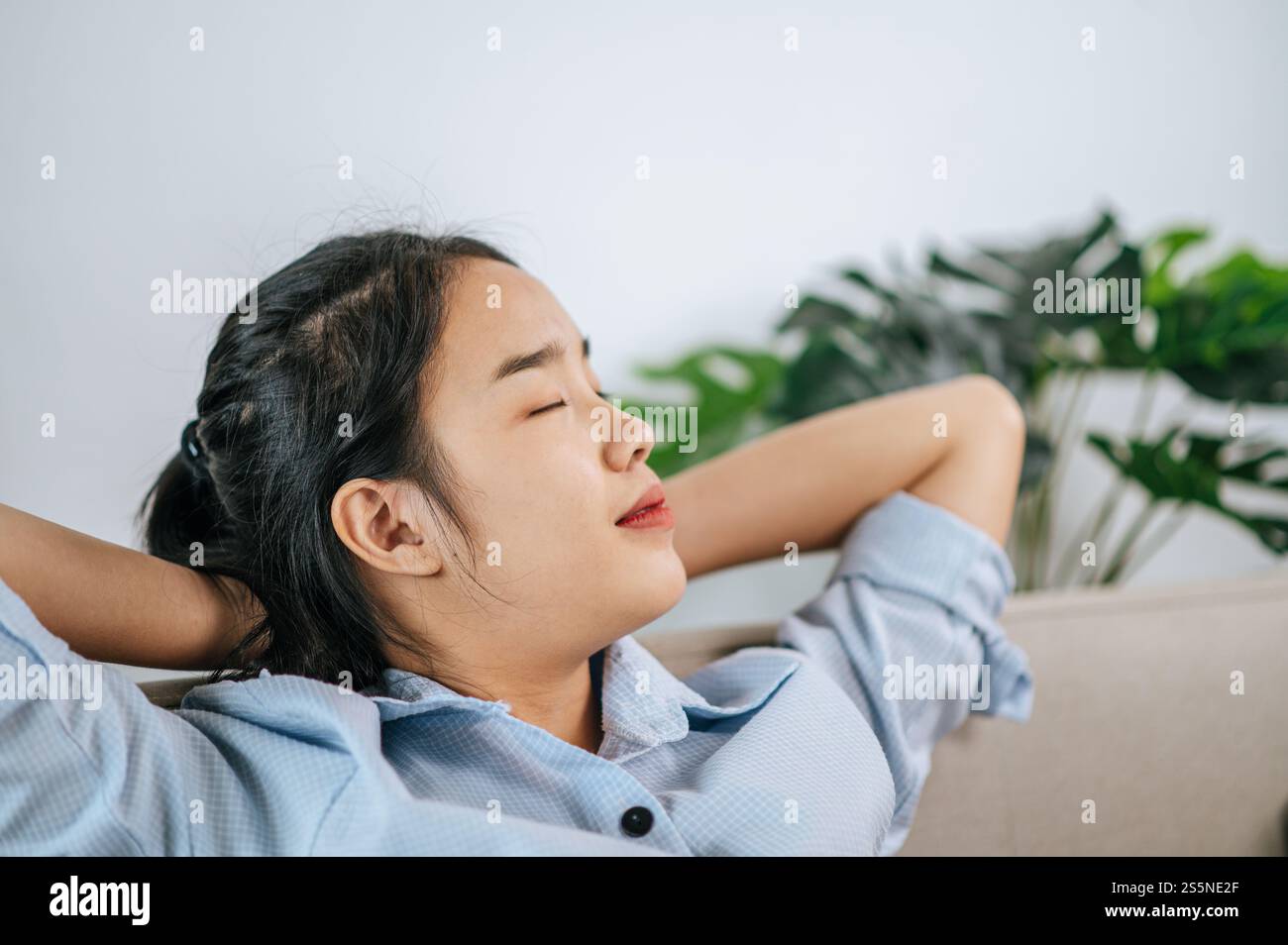 Close up young woman resting sleeping with hands behind head on couch ...