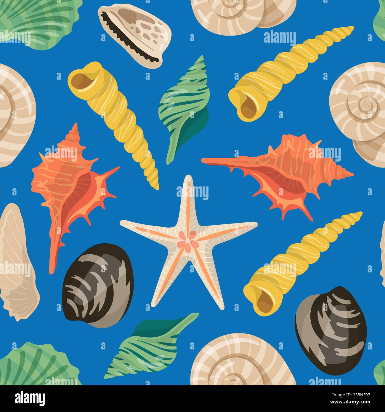 Vector cartoon sea shells pattern or background illustration. Shell ...