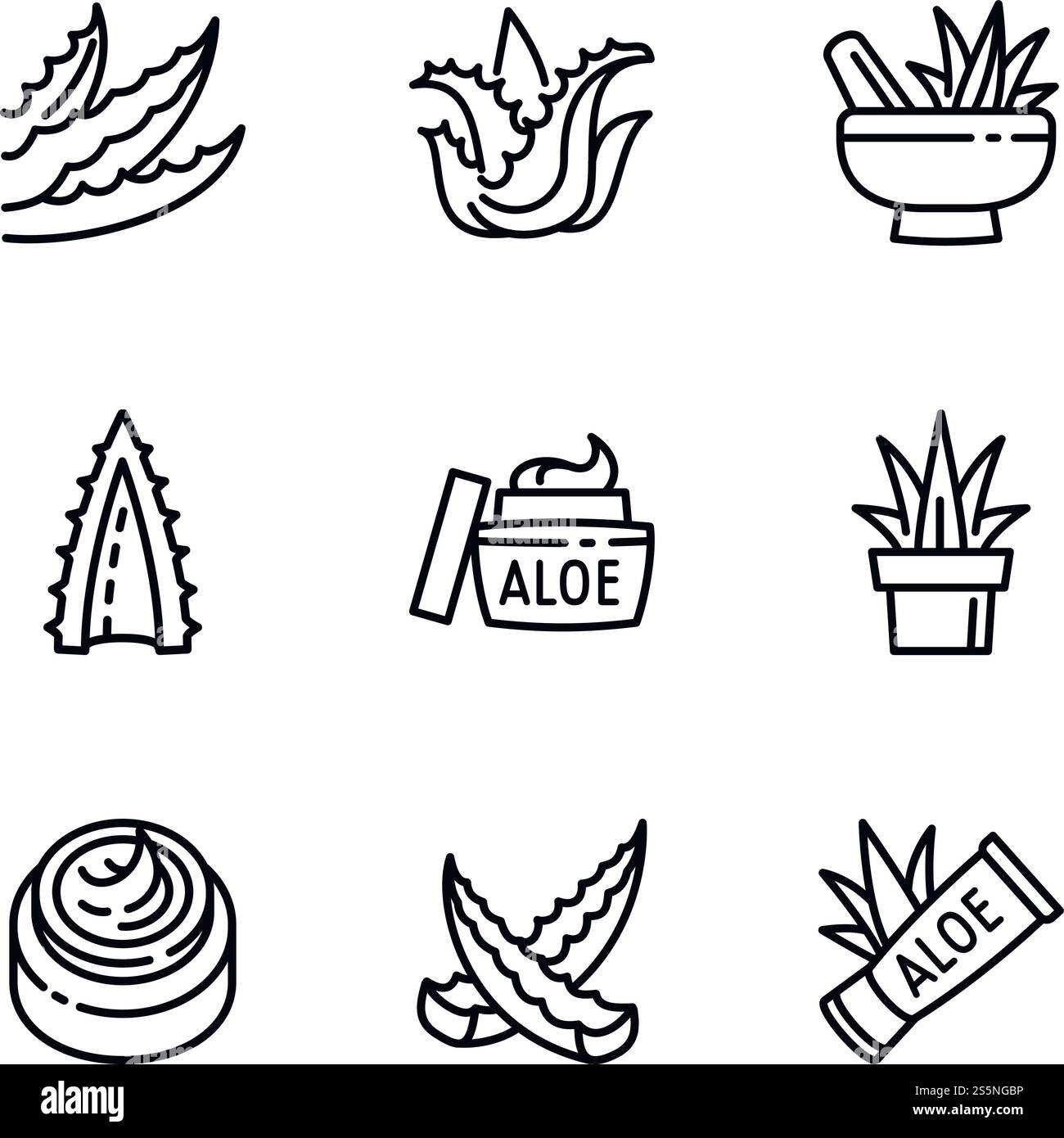 Aloe vera plant icon set. Outline set of 9 aloe vera plant vector icons ...