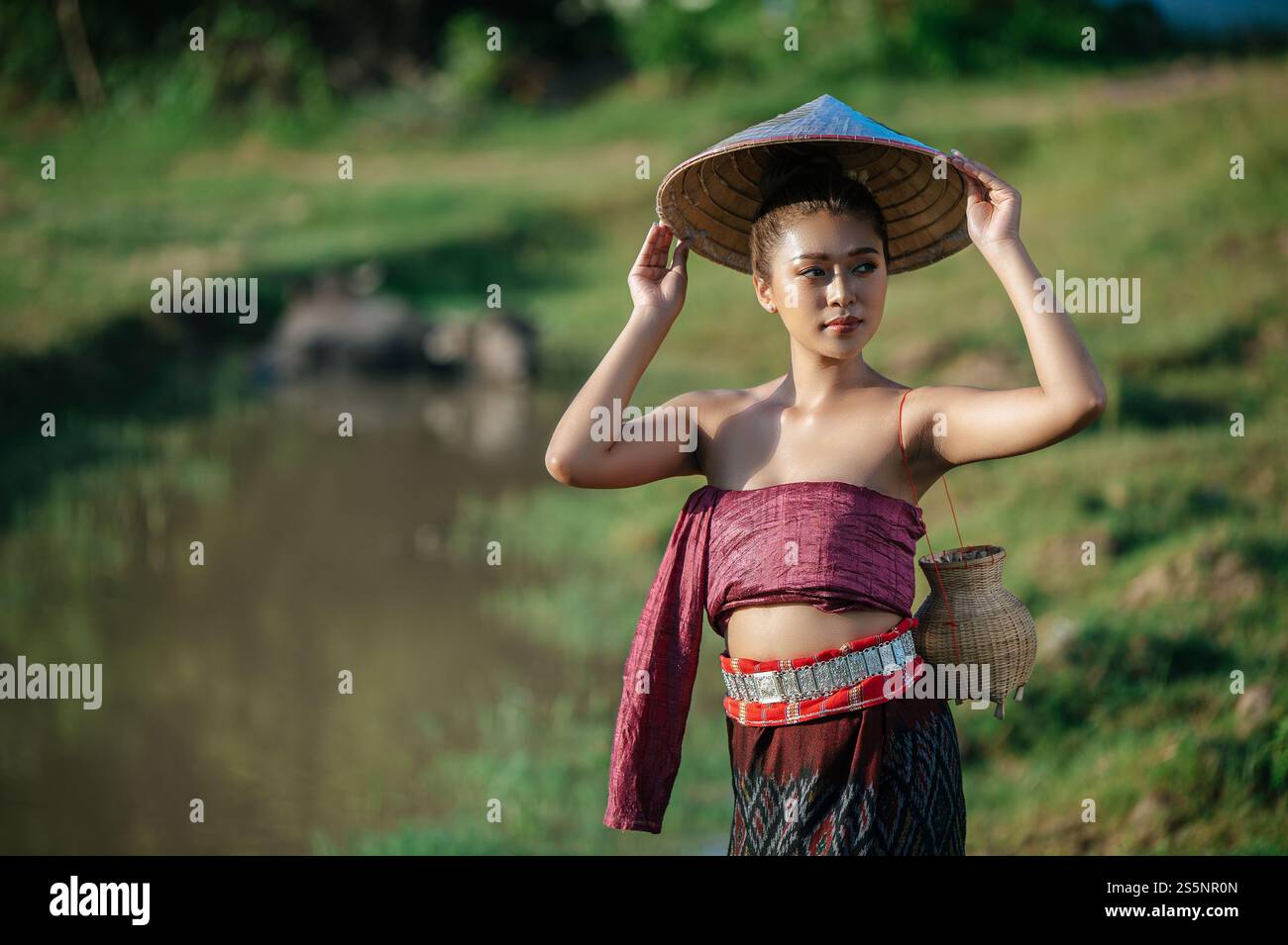 Portrait Young Asian woman in beautiful Thai traditional clothes at rice field Stock Photo - Alamy
