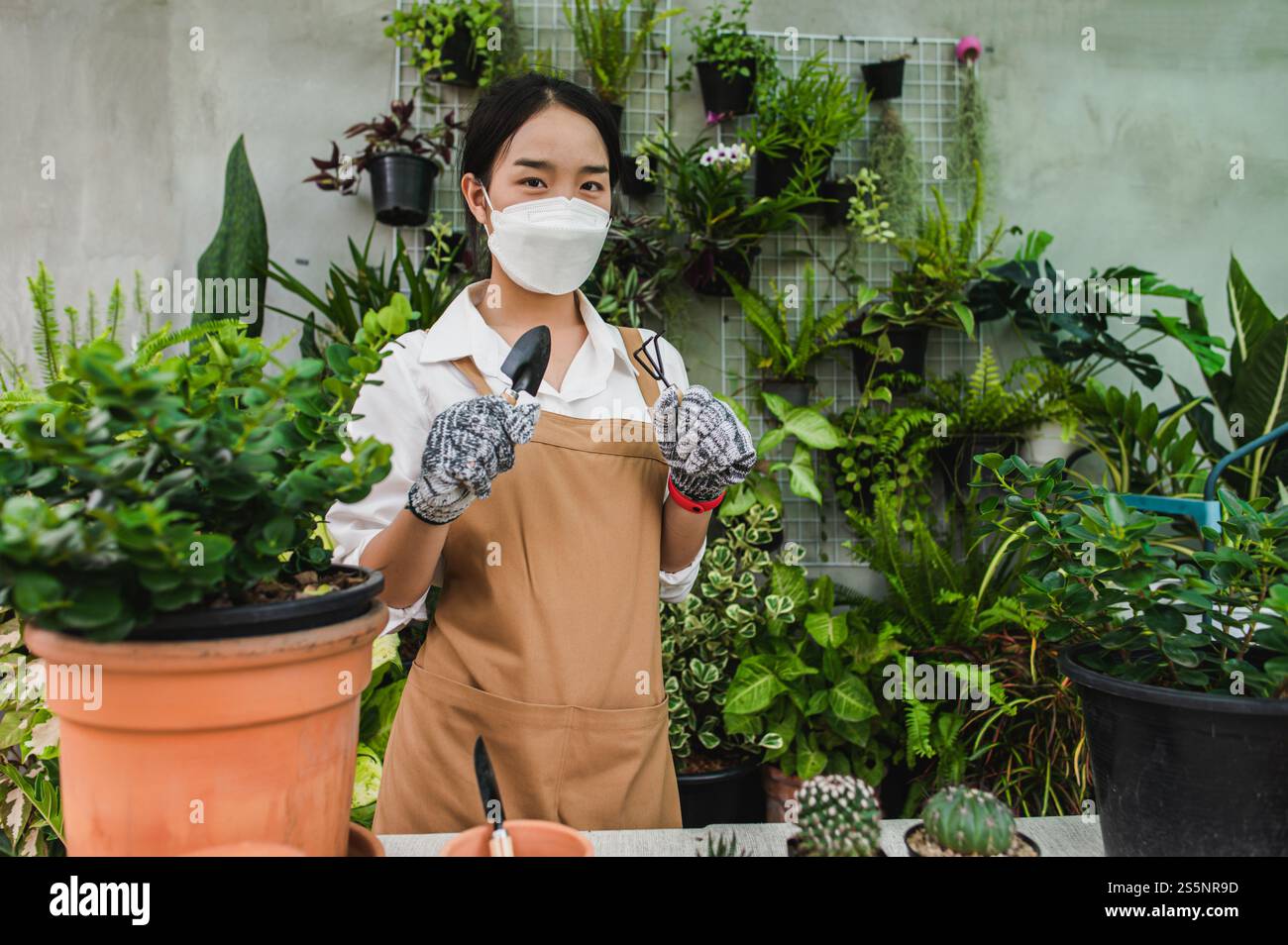 Asian gardener woman wearing face mask and apron hi-res stock ...