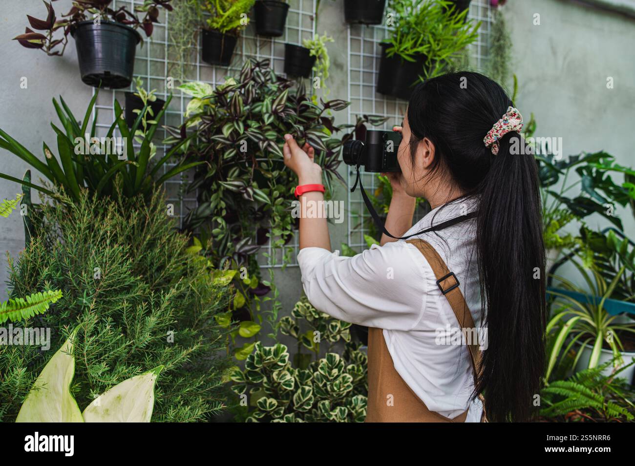 Side view, Young gardener female use digital camera take a photo with beautiful houseplant Stock ...