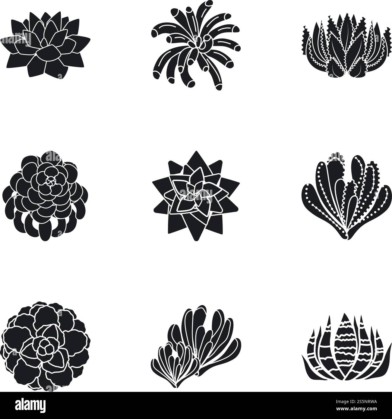 Succulent botany icon set. Simple set of 9 succulent botany vector ...