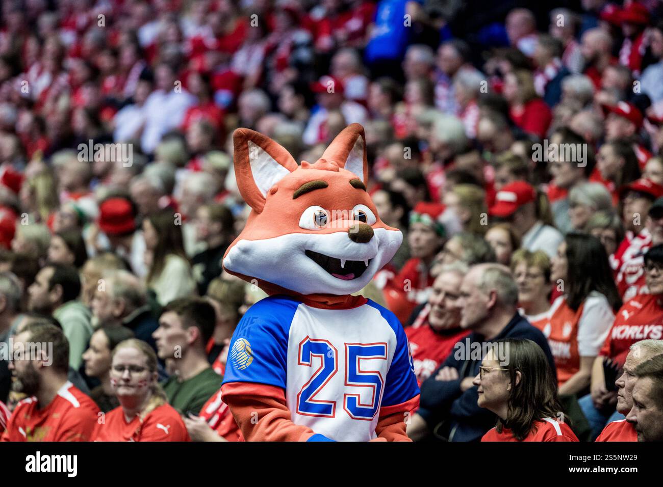 Herning, Denmark. 14th Jan, 2025. Tournament mascot Foxy the Fox seen ...